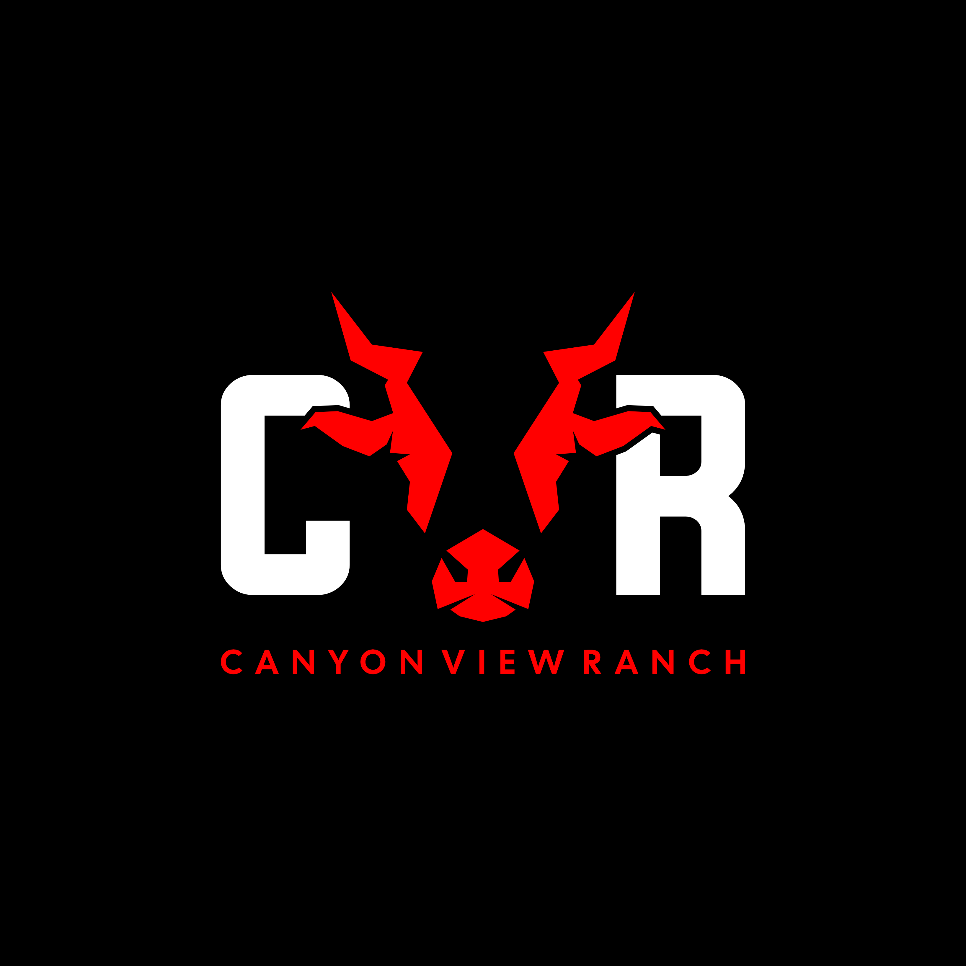 Elegant, Playful Logo Design for canyon view ranch or CVR or none by ...