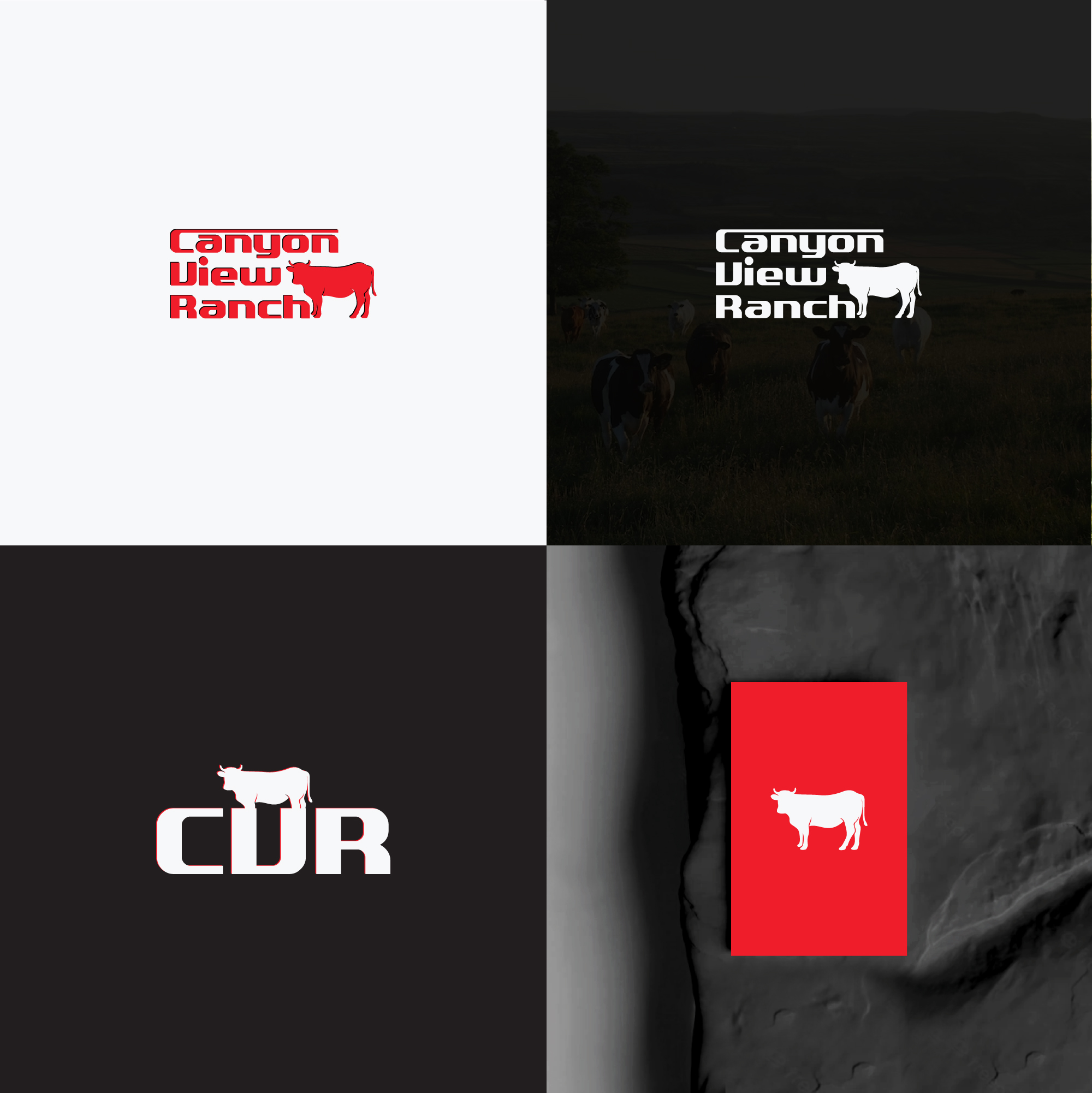 Elegant, Playful Logo Design for canyon view ranch or CVR or none by ...
