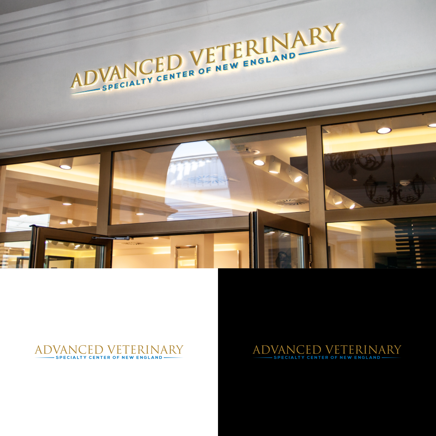 Professional, Serious, Veterinary Logo Design for AVSC - Advanced ...