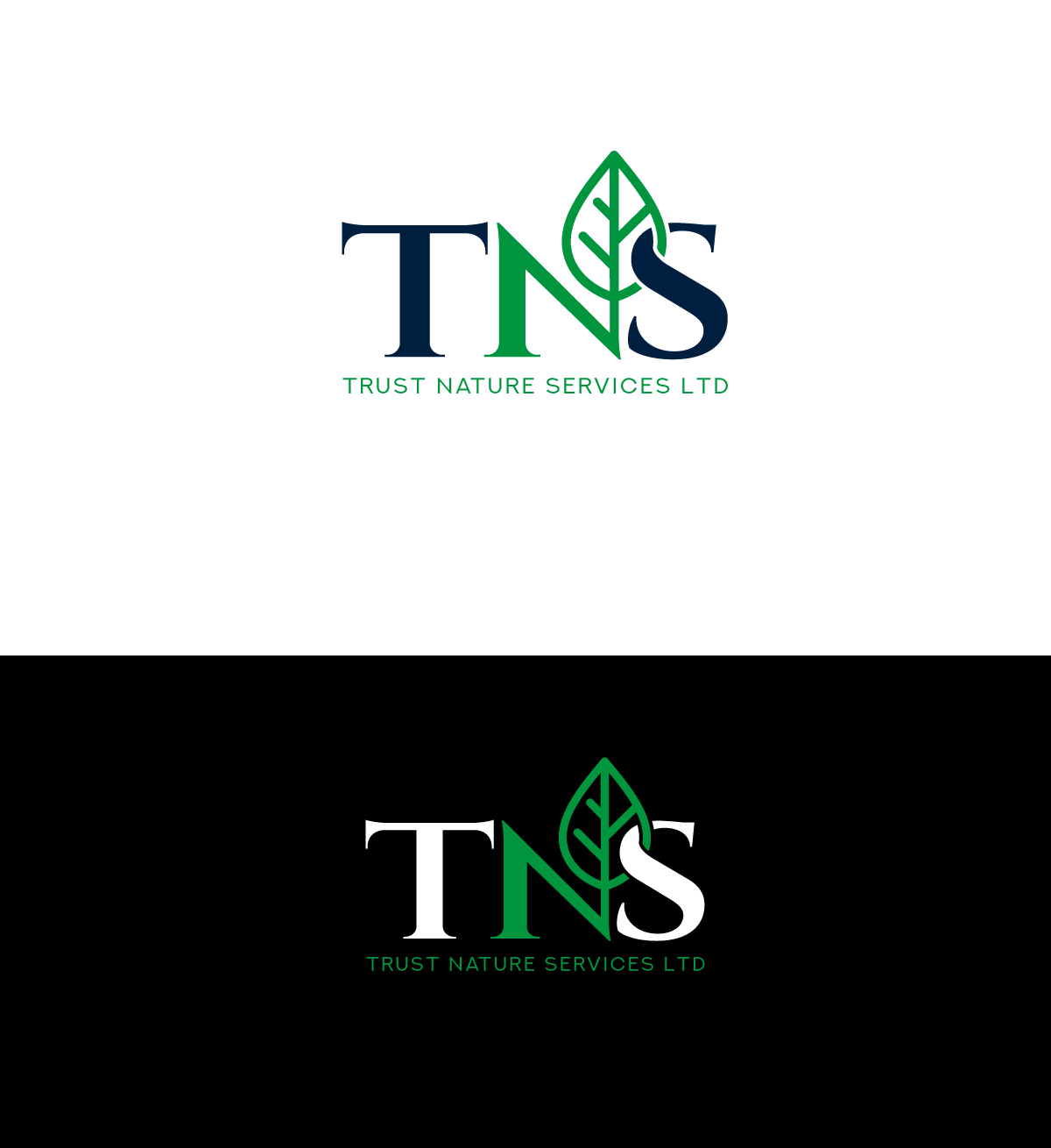 Logo Design for TNS Ltd by SolDesign | Design #31318998