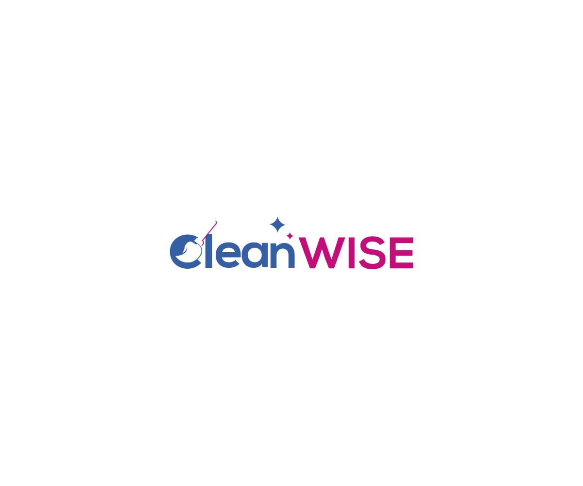 Elegant, Playful Logo Design for Clean Wise by designrakib | Design ...