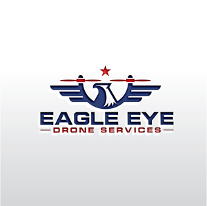 Eagle Eye Drone Services is looking for a logo design | 203 Logo Designs for We do like the idea ...