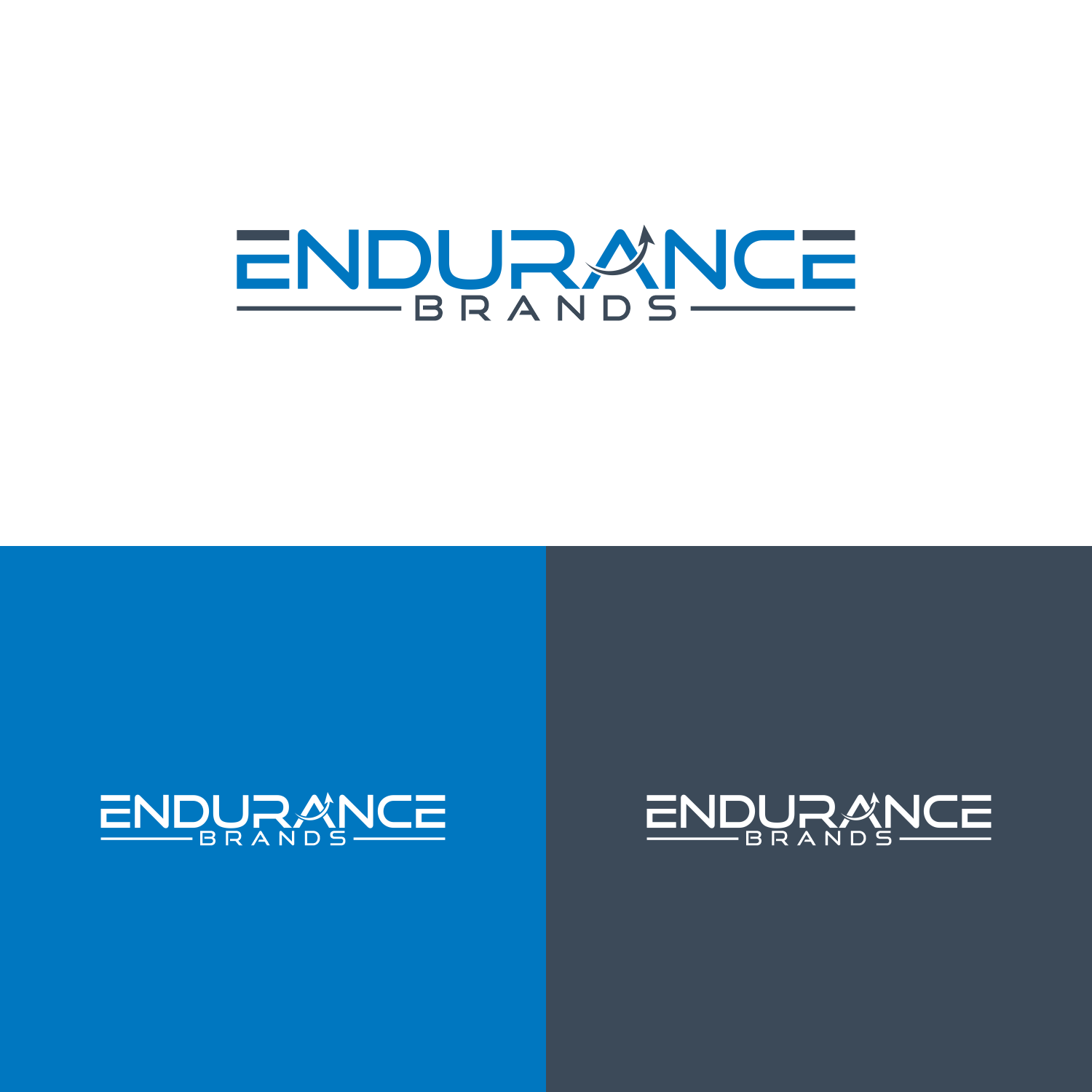 Logo Design for Endurance Brands by okta5 | Design #31431594