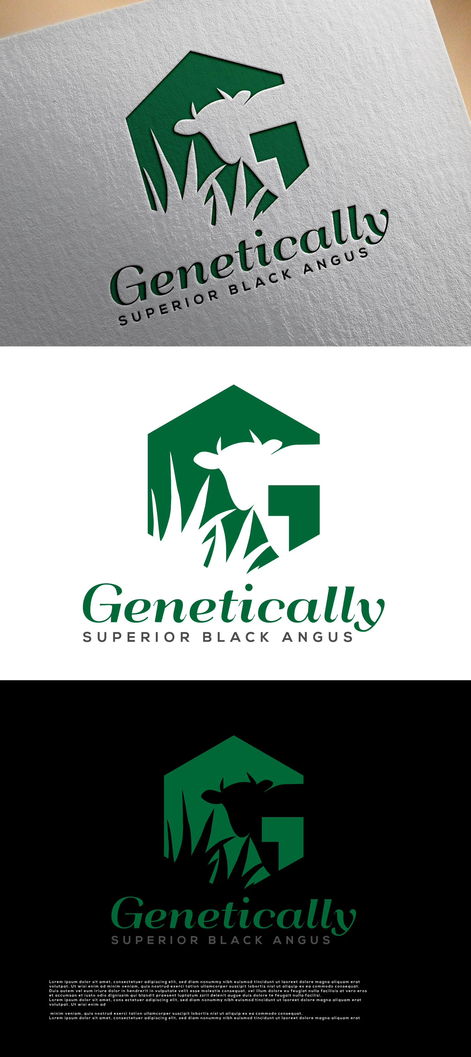Upmarket, Bold, Cattle breeding . Seed stock producer. Logo Design for ...