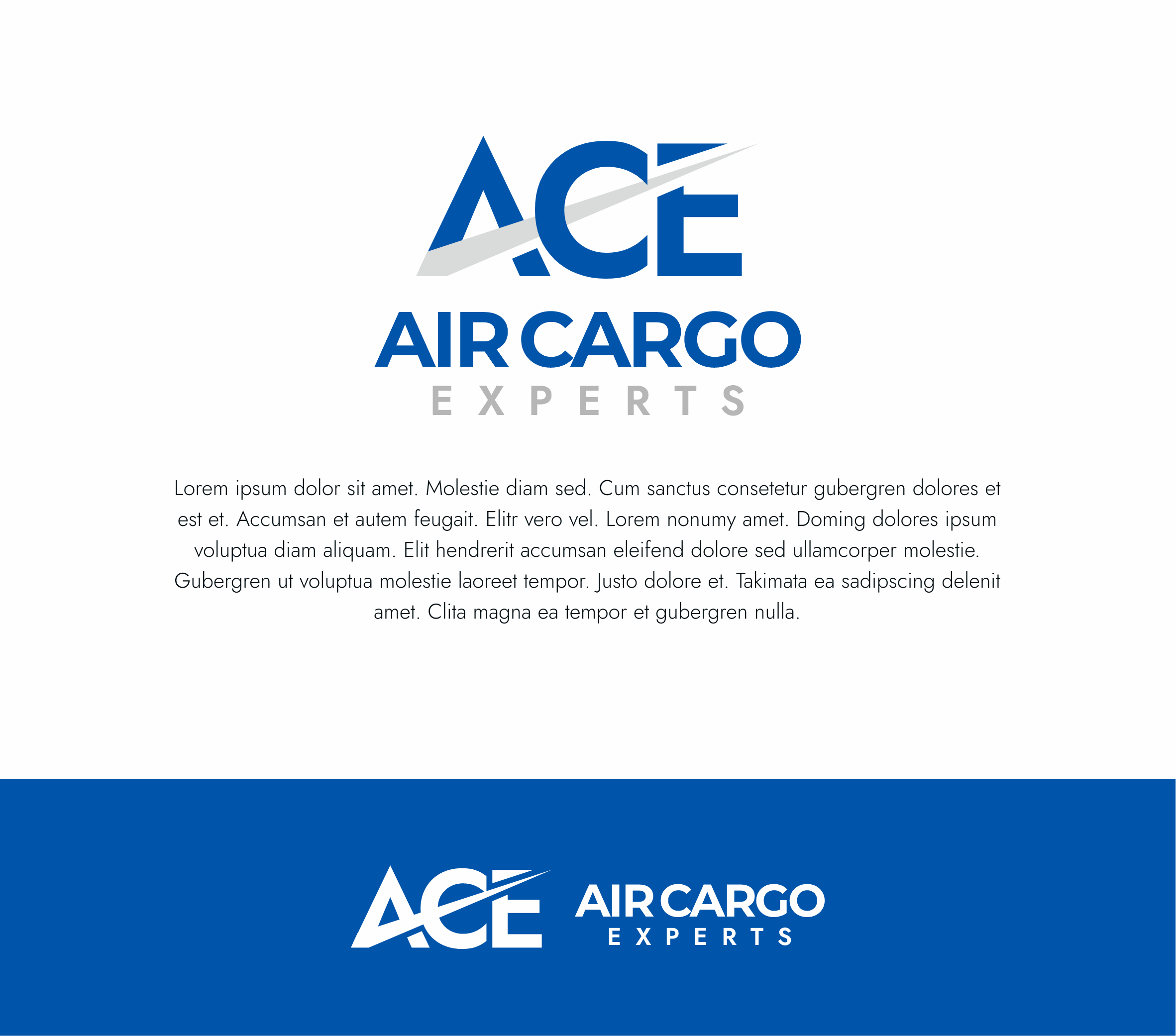 Serious, Professional, Air freight Logo Design for Air Cargo Experts by ...