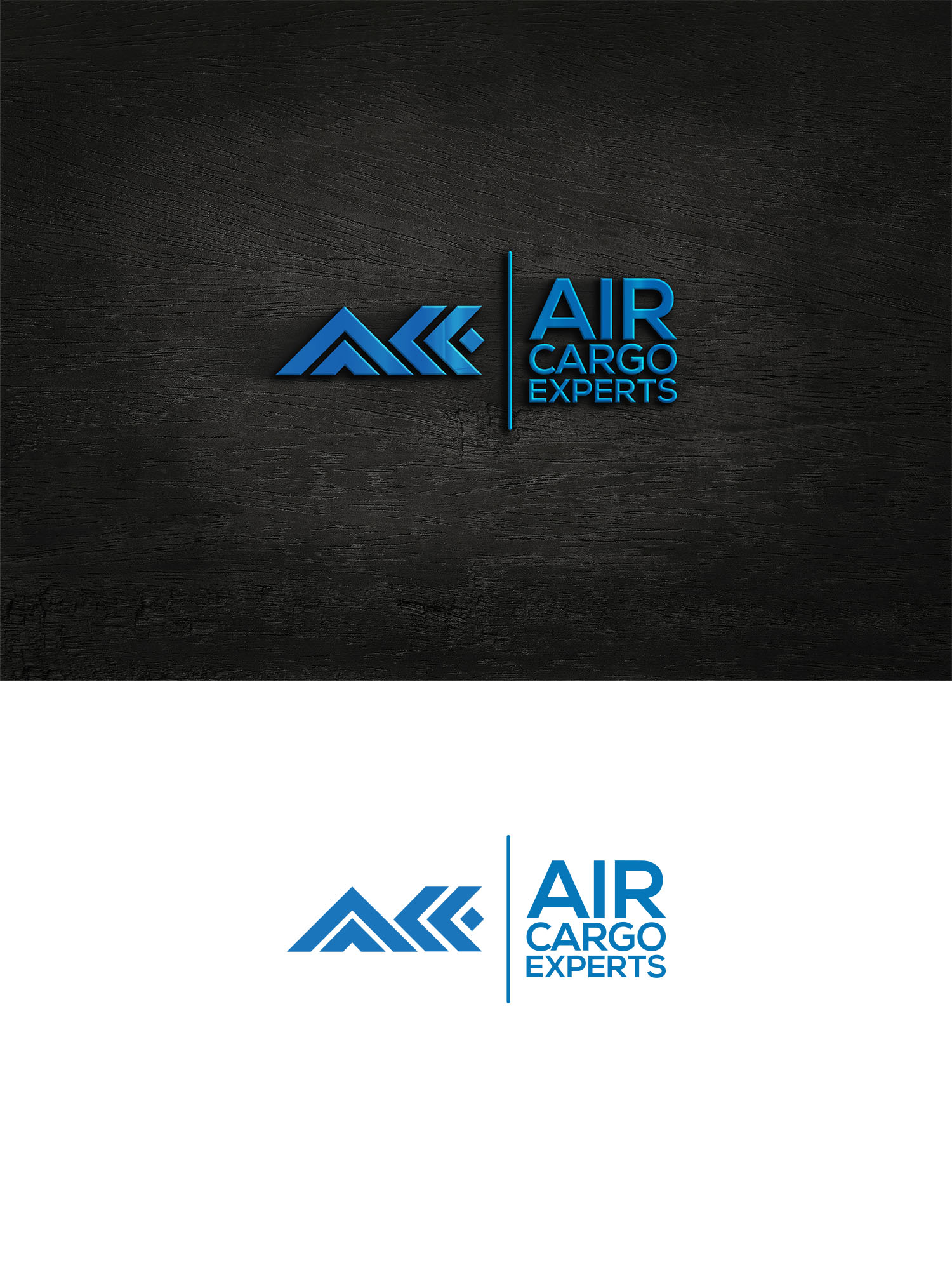 Serious, Professional, Air freight Logo Design for Air Cargo Experts by ...