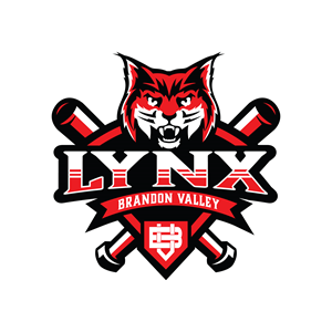 Playful, Elegant Logo Design for LYNX and if possible, BV or Brandon ...