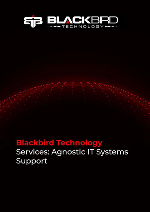 Services Brochure | 16 Flyer Designs for BLACKBIRD Technology