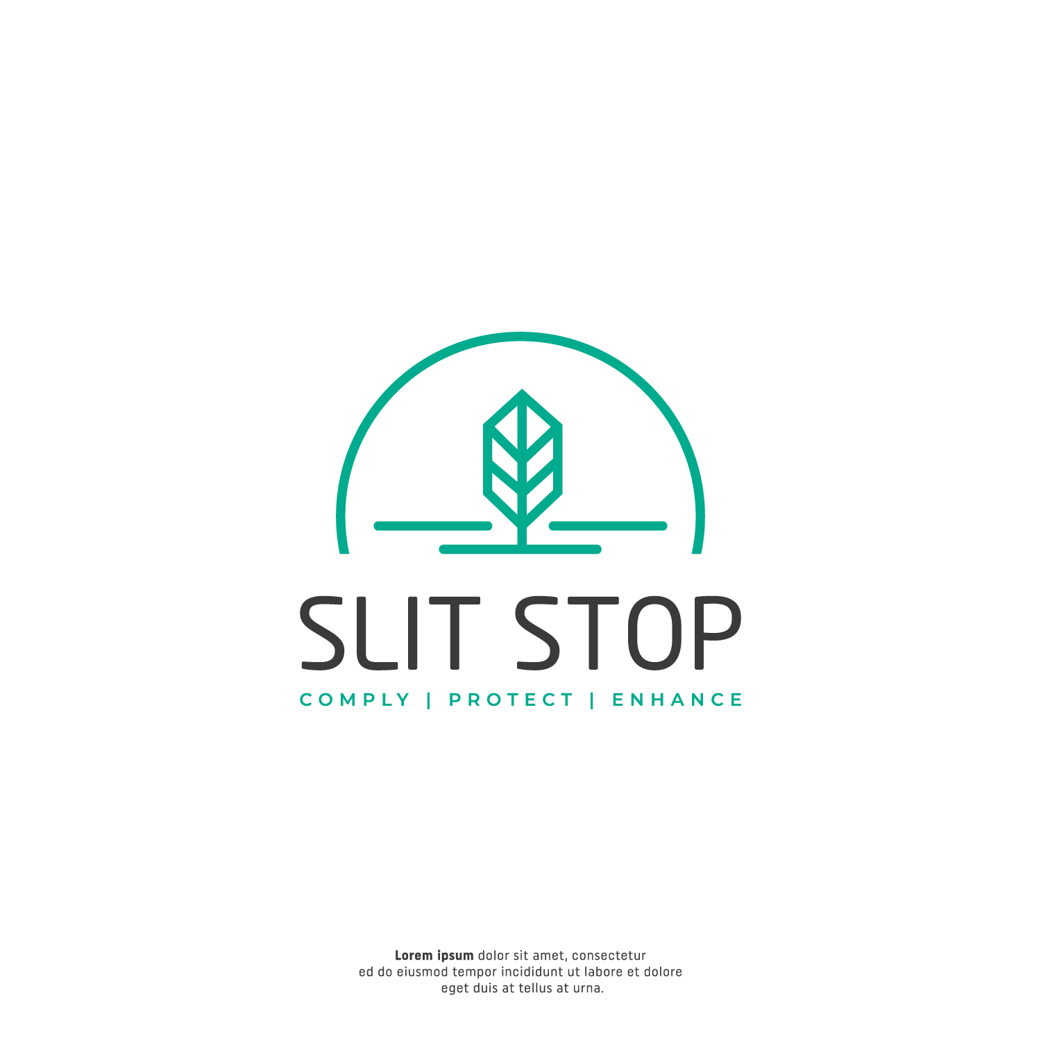 Bold, Modern, Construction / Trade Logo Design for Silt Stop (sub text ...