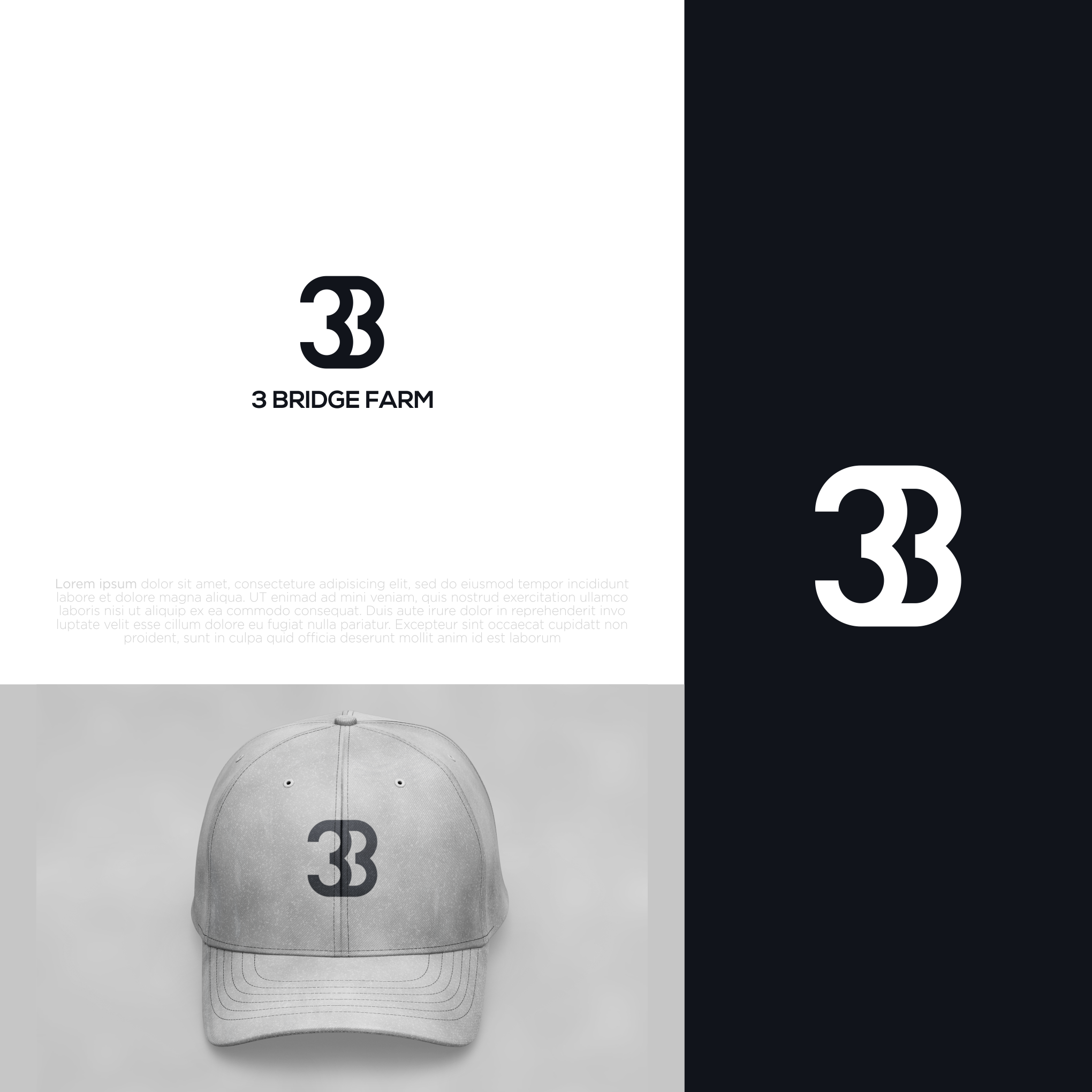 Elegant, Playful Logo Design for 3 Bridge Farm or 3B or any variation ...