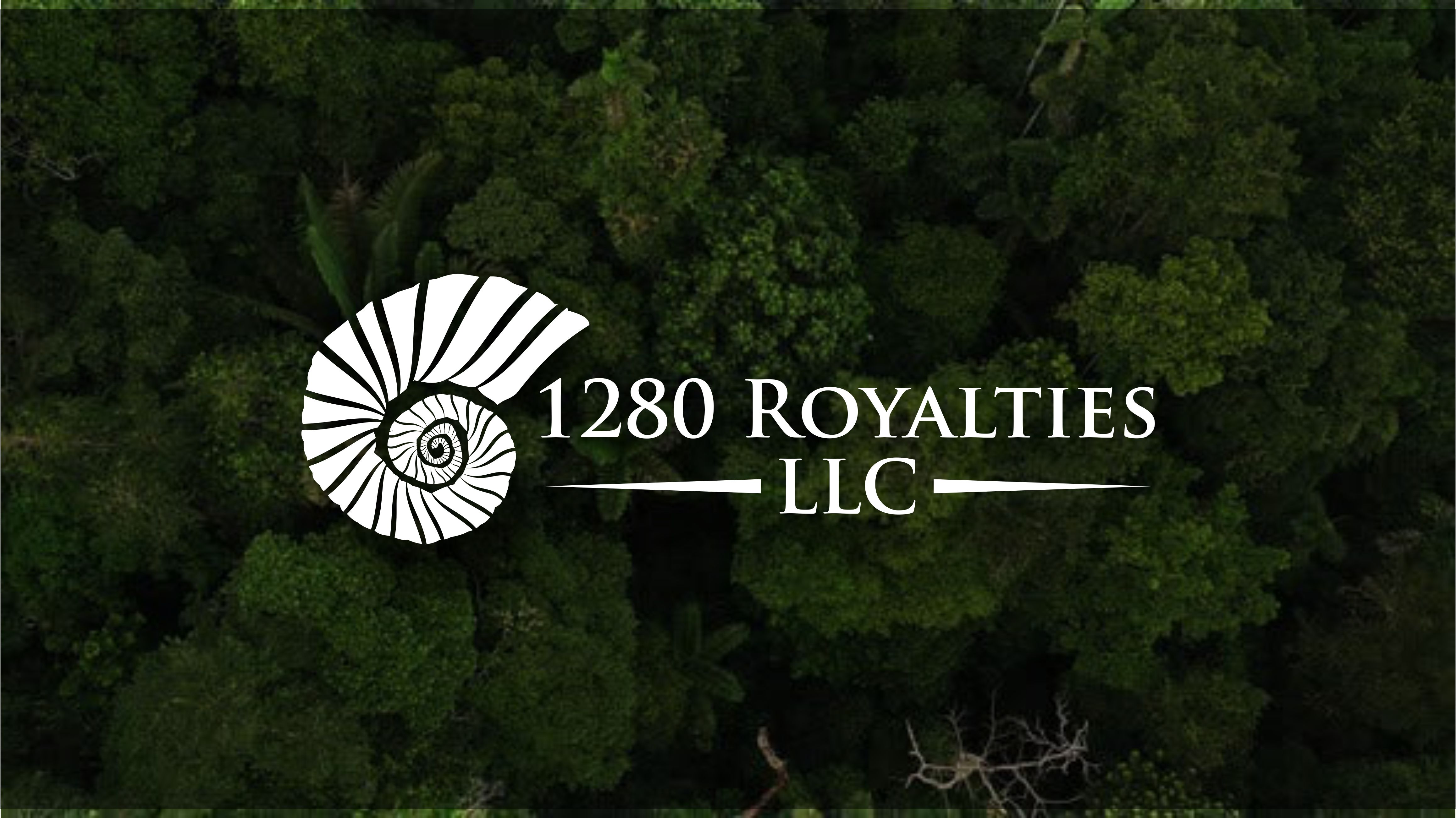 Elegant, Playful, Energy Logo Design for 1280 Royalties, LLC by Graphic Media | Design #31849849