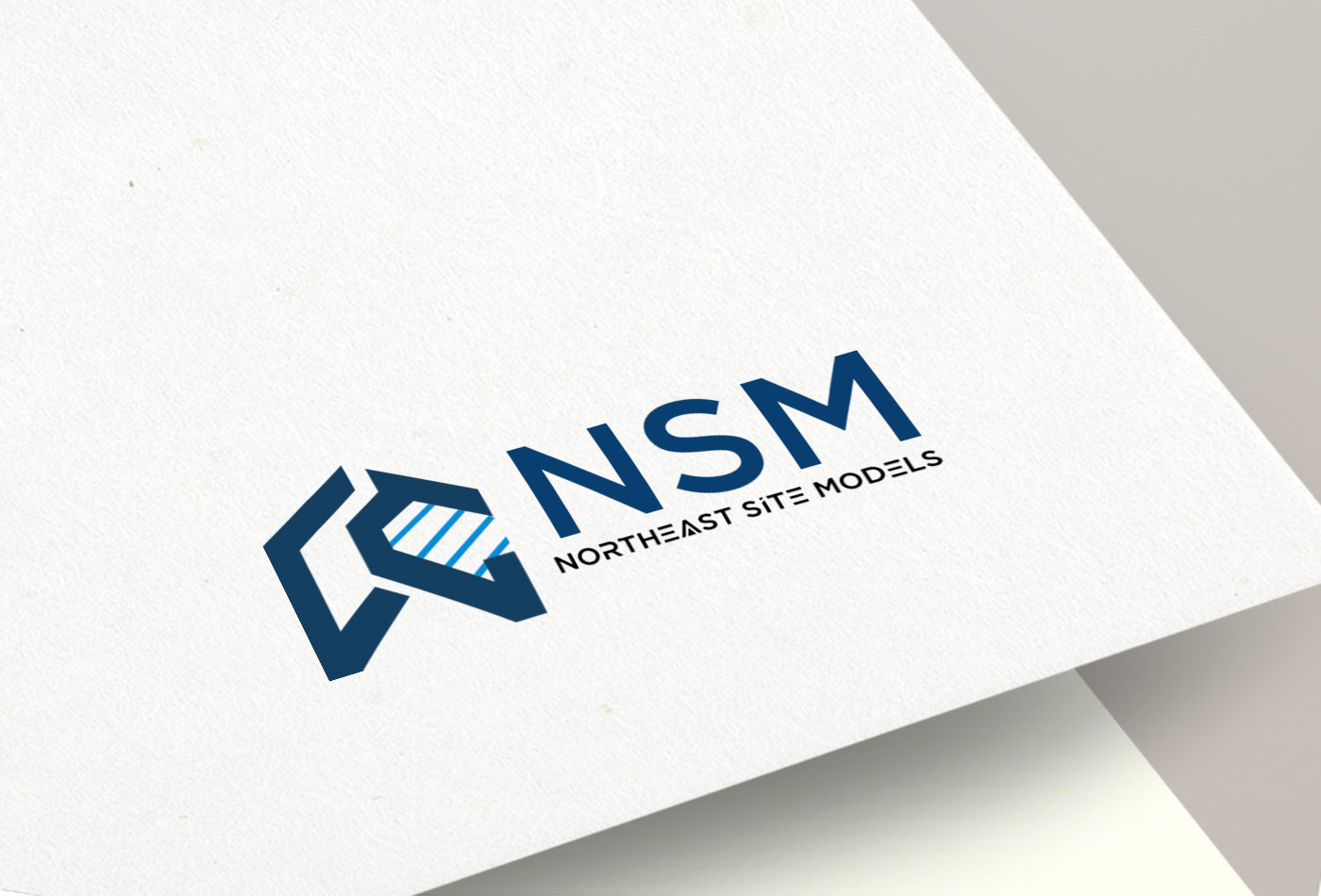 Logo Design for NSM (ON TOP AS MAIN FOCUS) and below in smaller text ...
