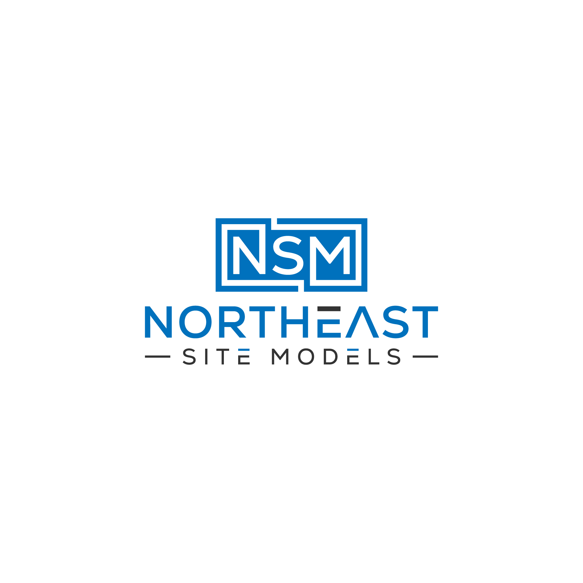 Logo Design for NSM (ON TOP AS MAIN FOCUS) and below in smaller text ...