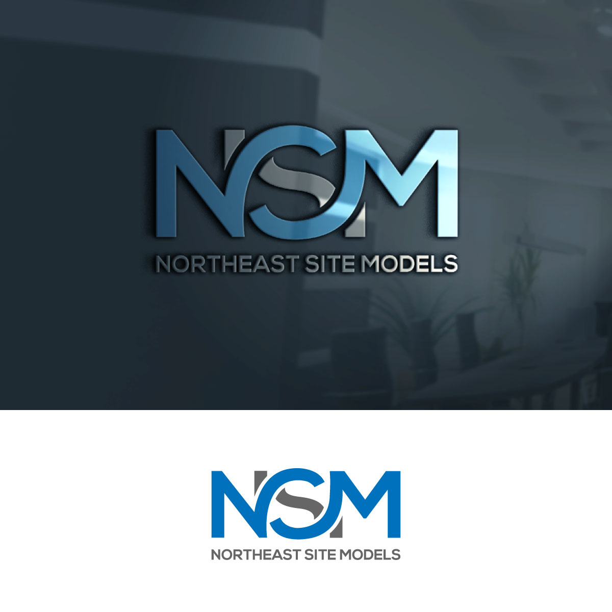 Logo Design for NSM (ON TOP AS MAIN FOCUS) and below in smaller text ...