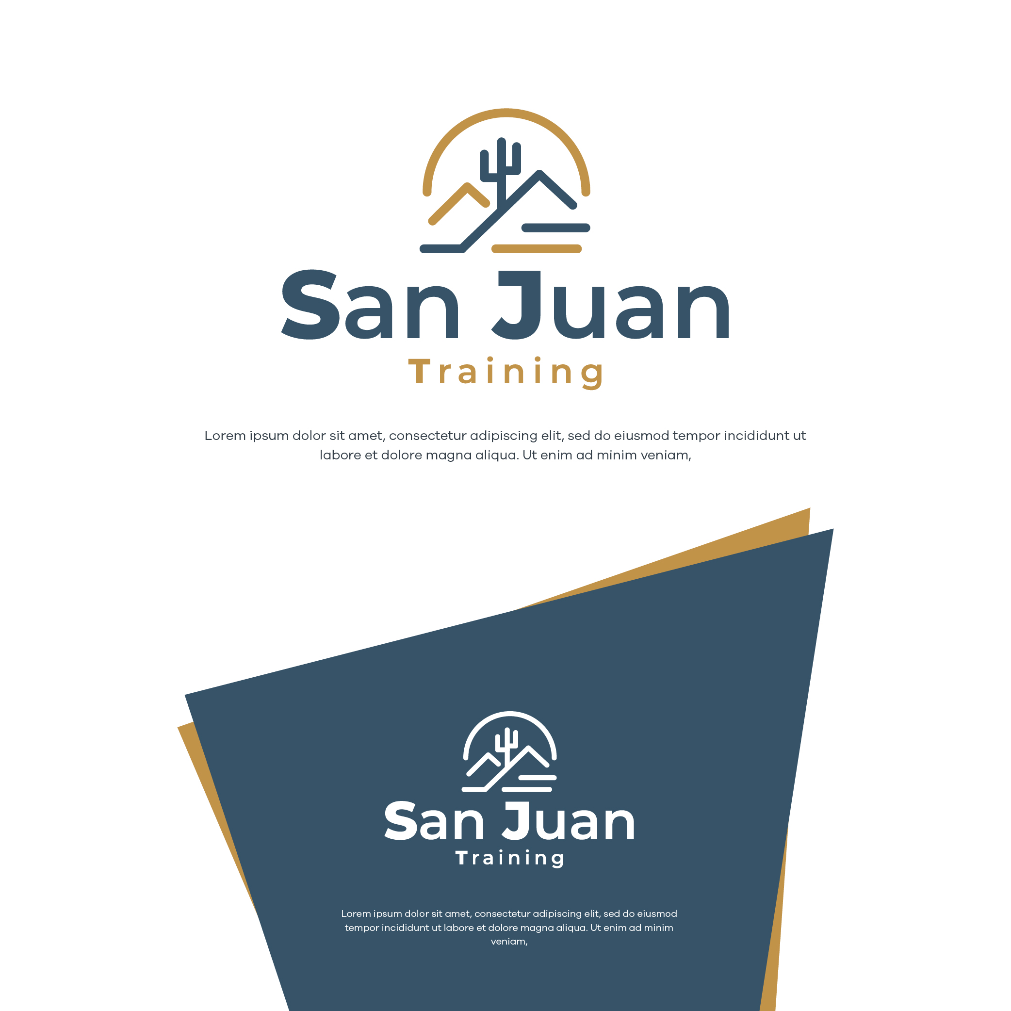 Elegant, Serious, Fitness and personal training online coaching Logo ...