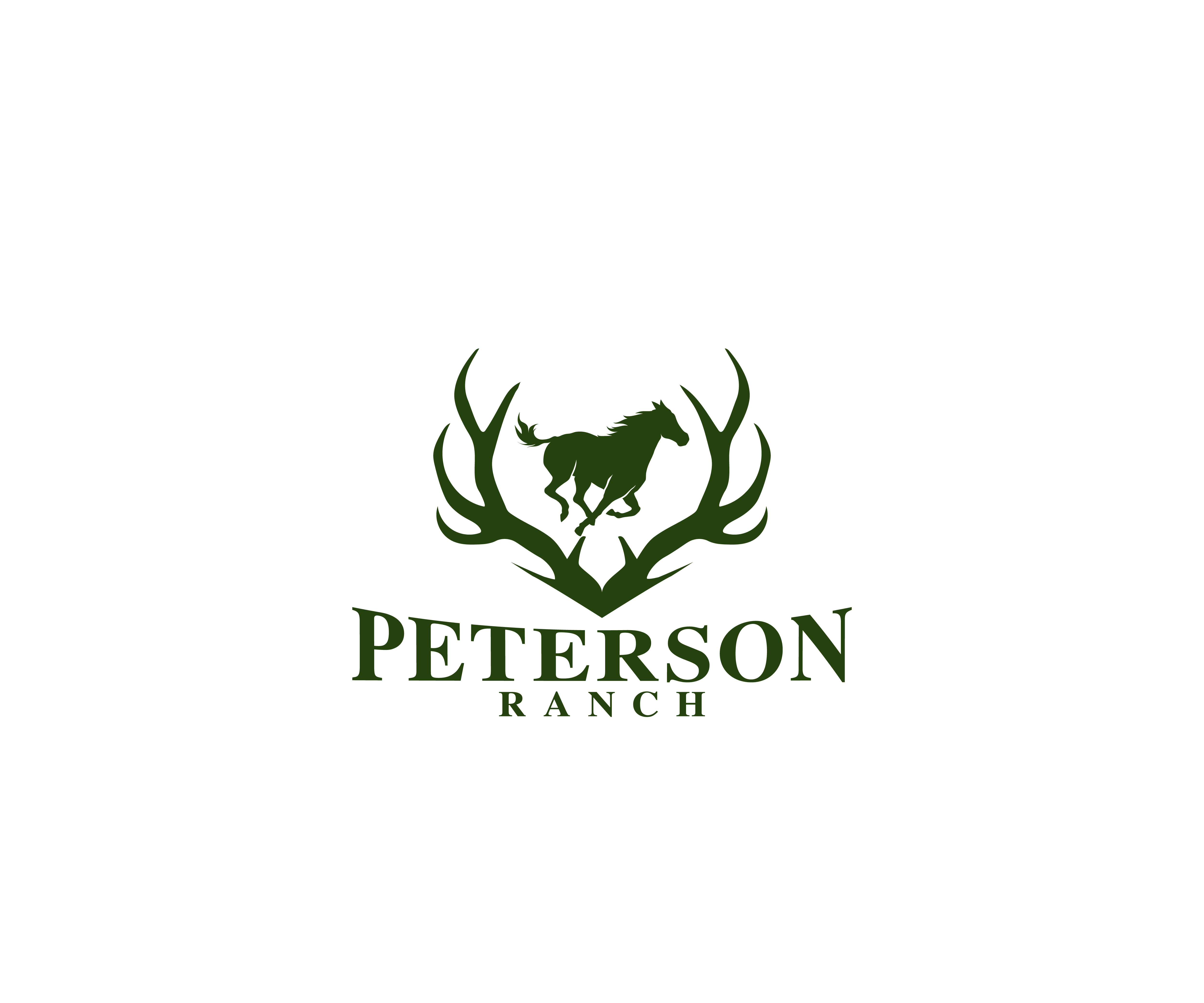 Serious, Conservative, Performance quarter horses and barrel racing ...