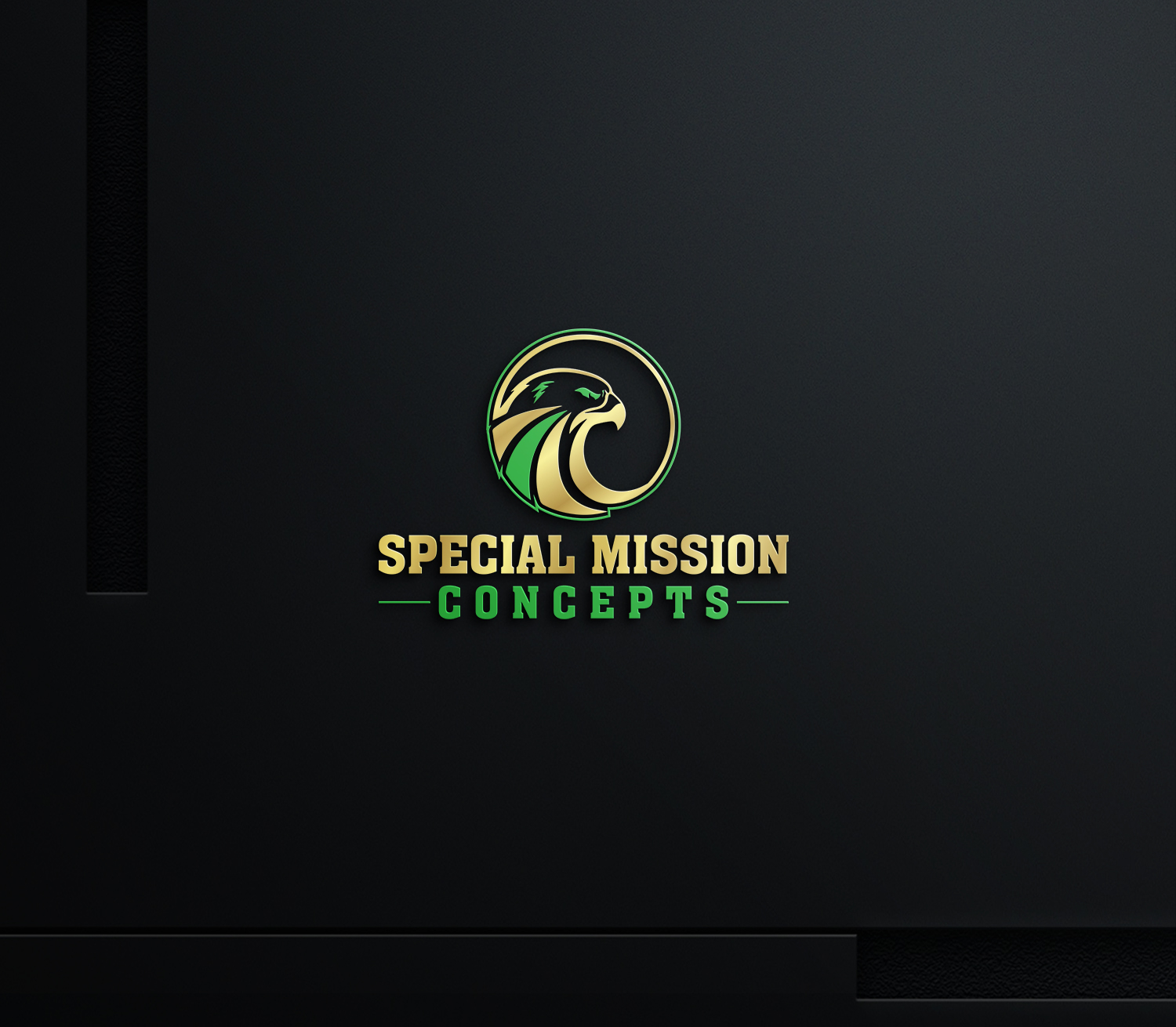 Serious, Professional, Physical Security, Executive Protection ...