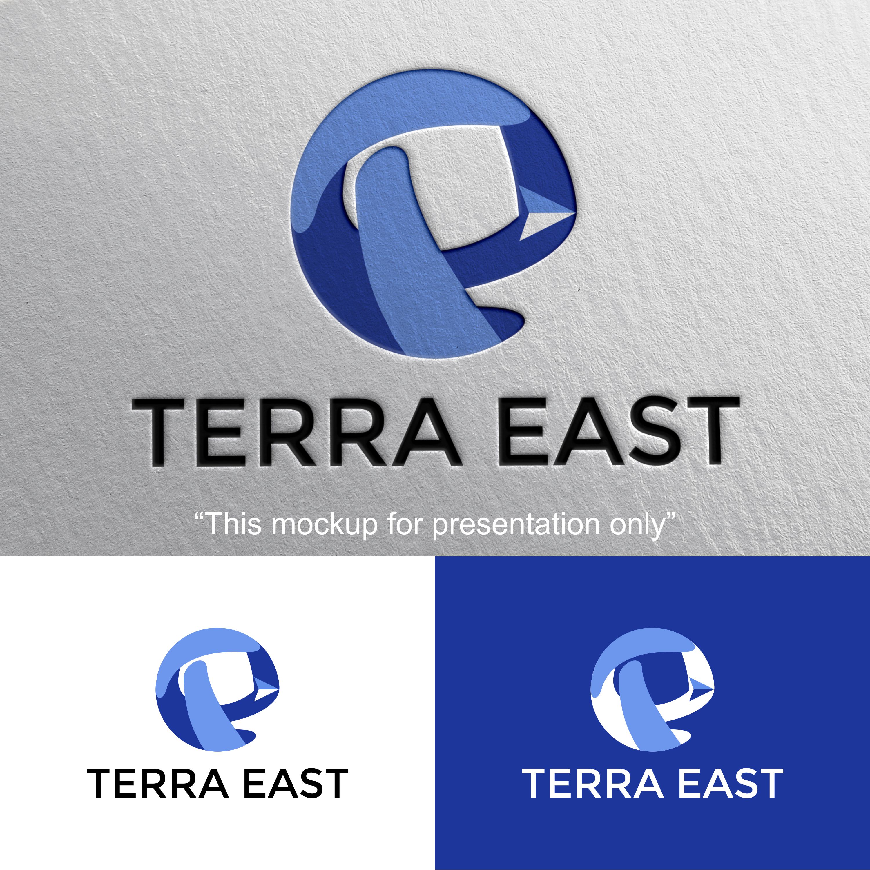 Logo Design for Terra East by dhanuboy | Design #31964048