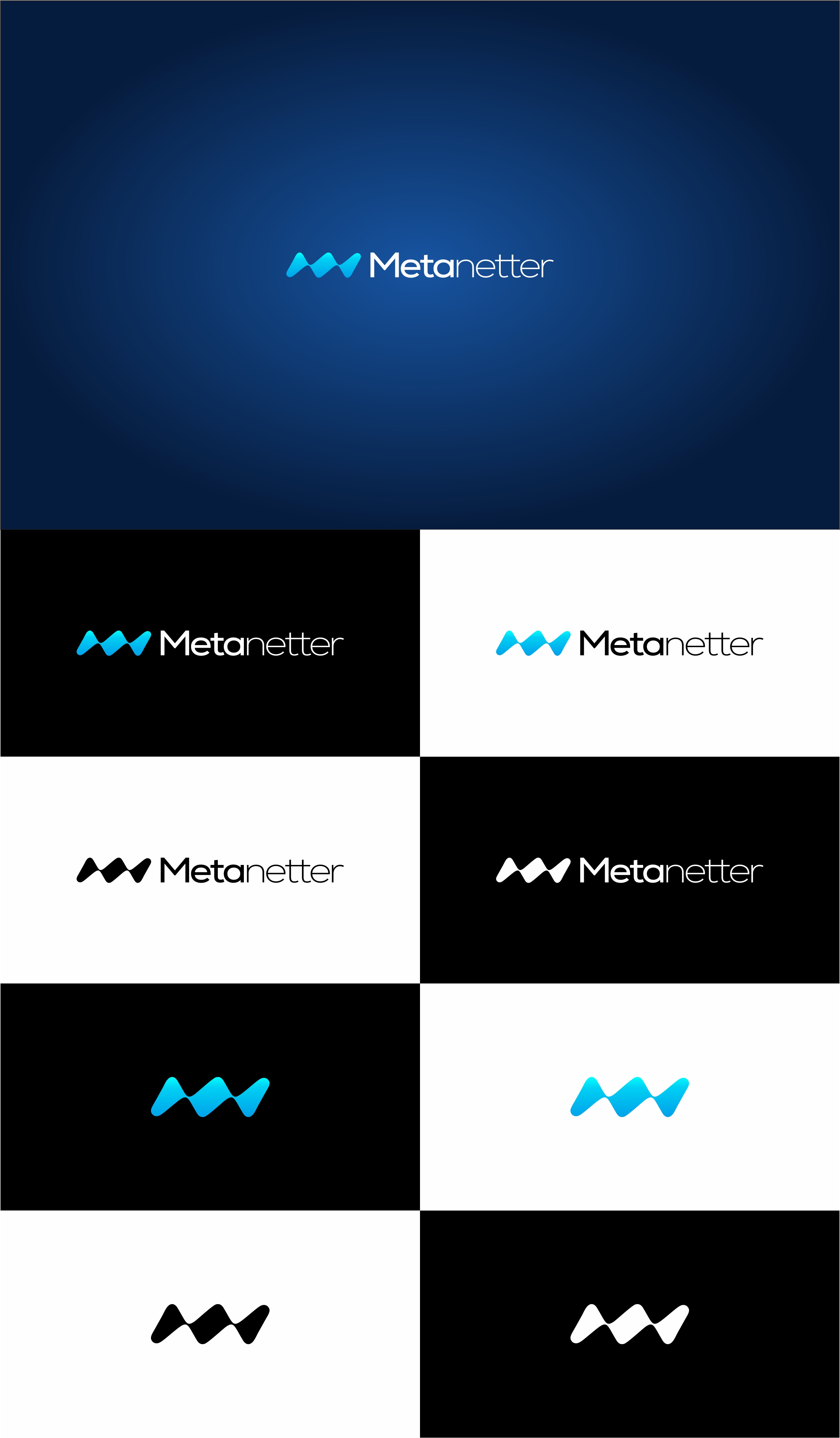 Economical, Modern Logo Design for Metanetter by Student_art | Design ...