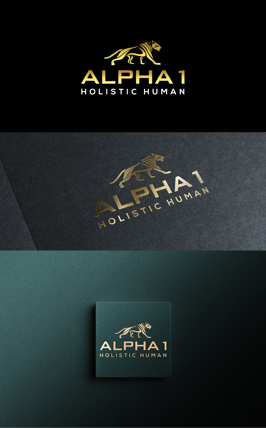 Bold, Modern, life coaching, performance coaching Logo Design for ALPHA ...