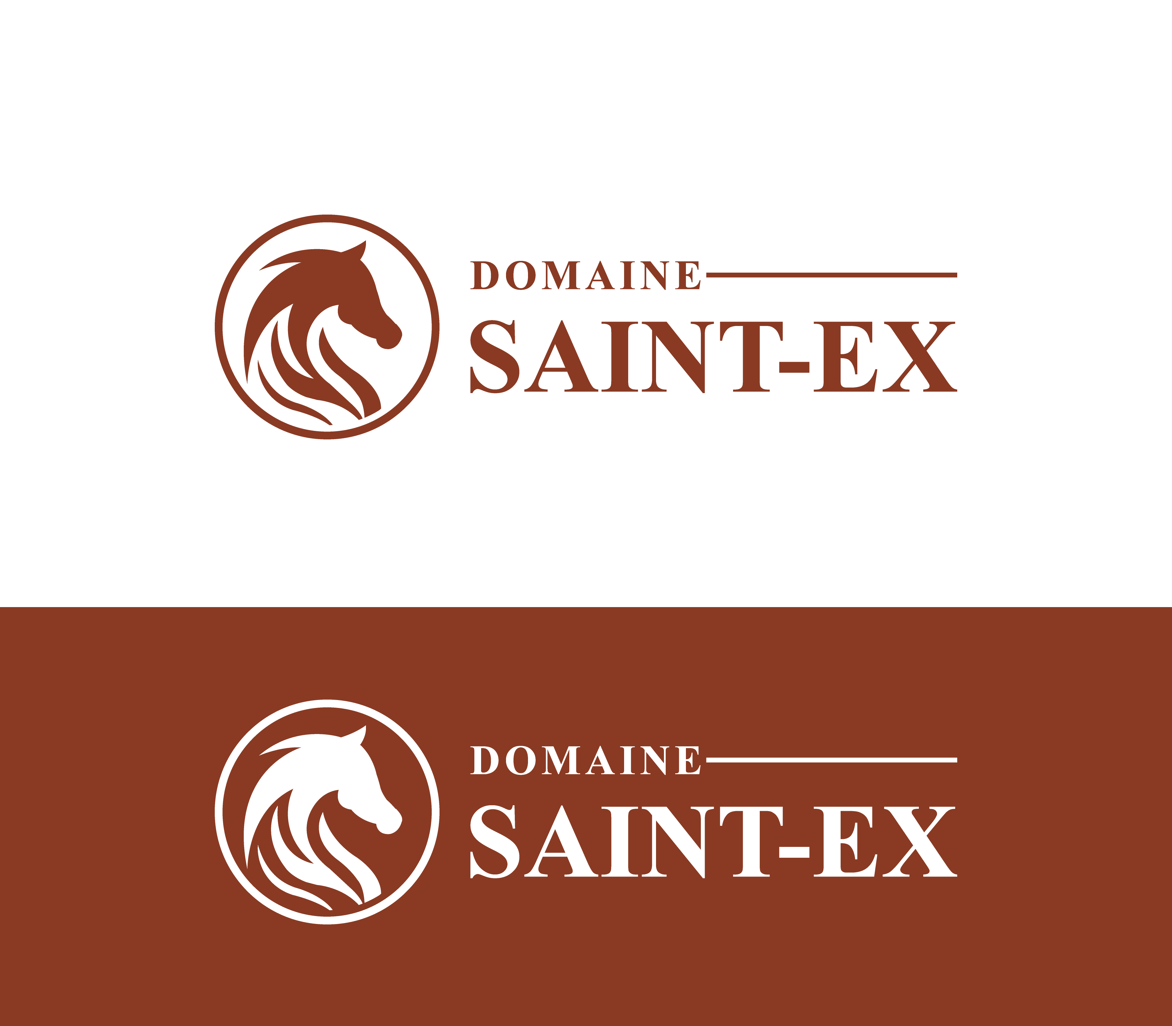 Upmarket, Elegant Logo Design for Domaine Saint-Ex by Nova_Create ...