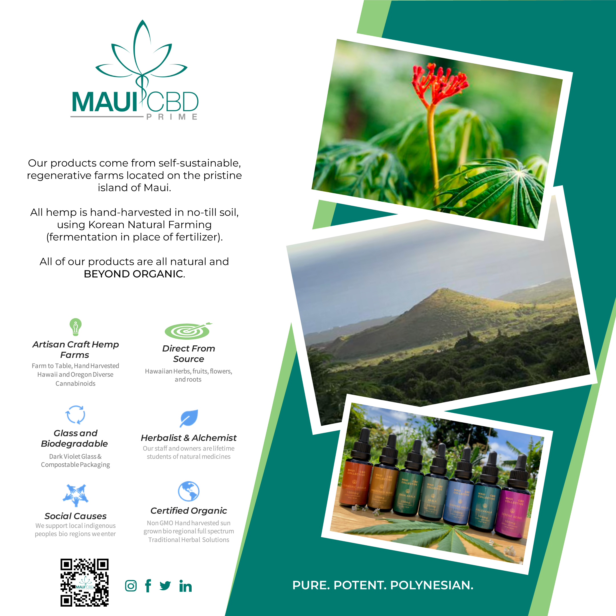 Upmarket, Serious, CBD. Products can be seen at www.mauicbdprime.com ...
