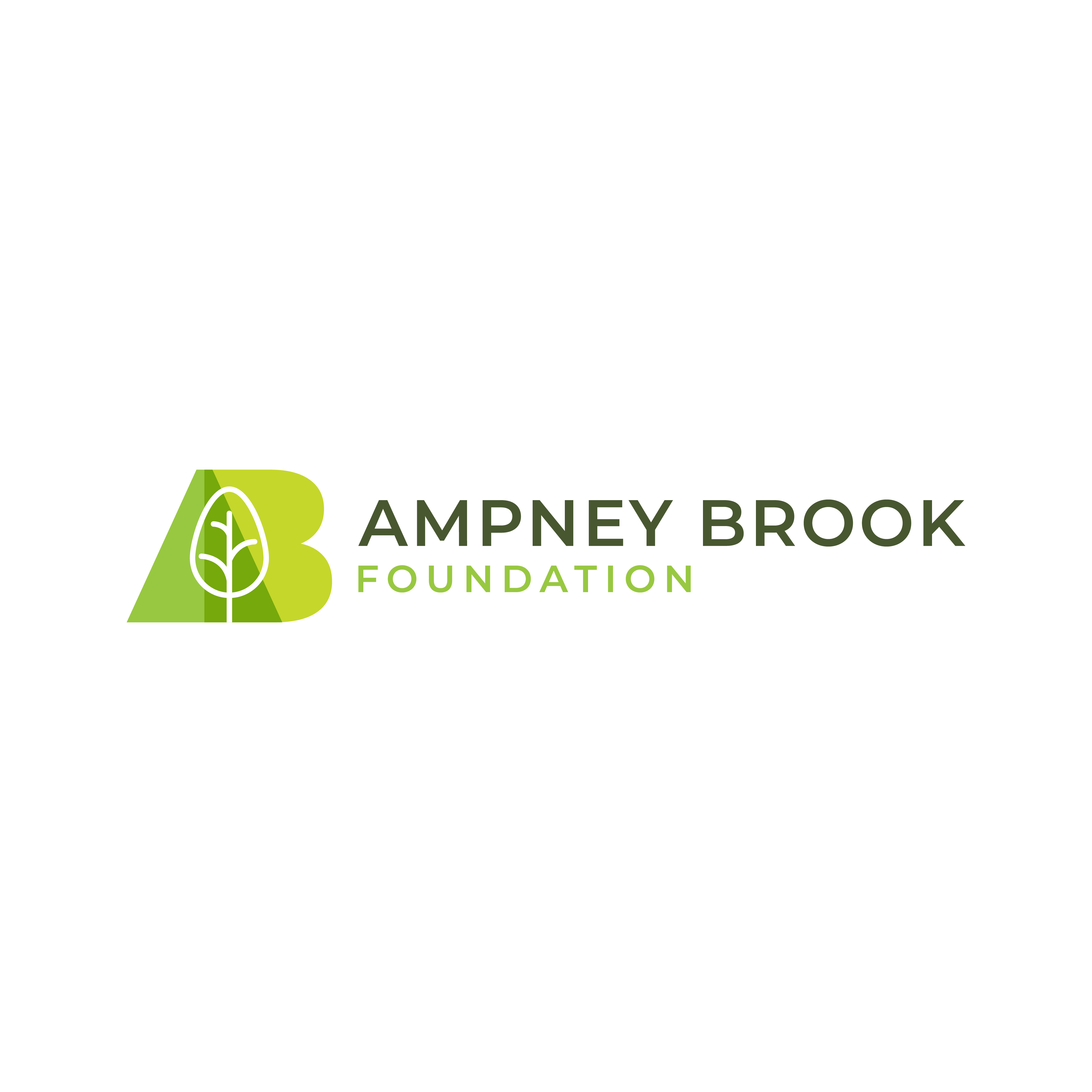 Logo Design for Ampney Brook Foundation by Harold C | Design #32521287