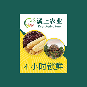 “Chinese small corn" packaging design | 30 Packaging Designs for a ...