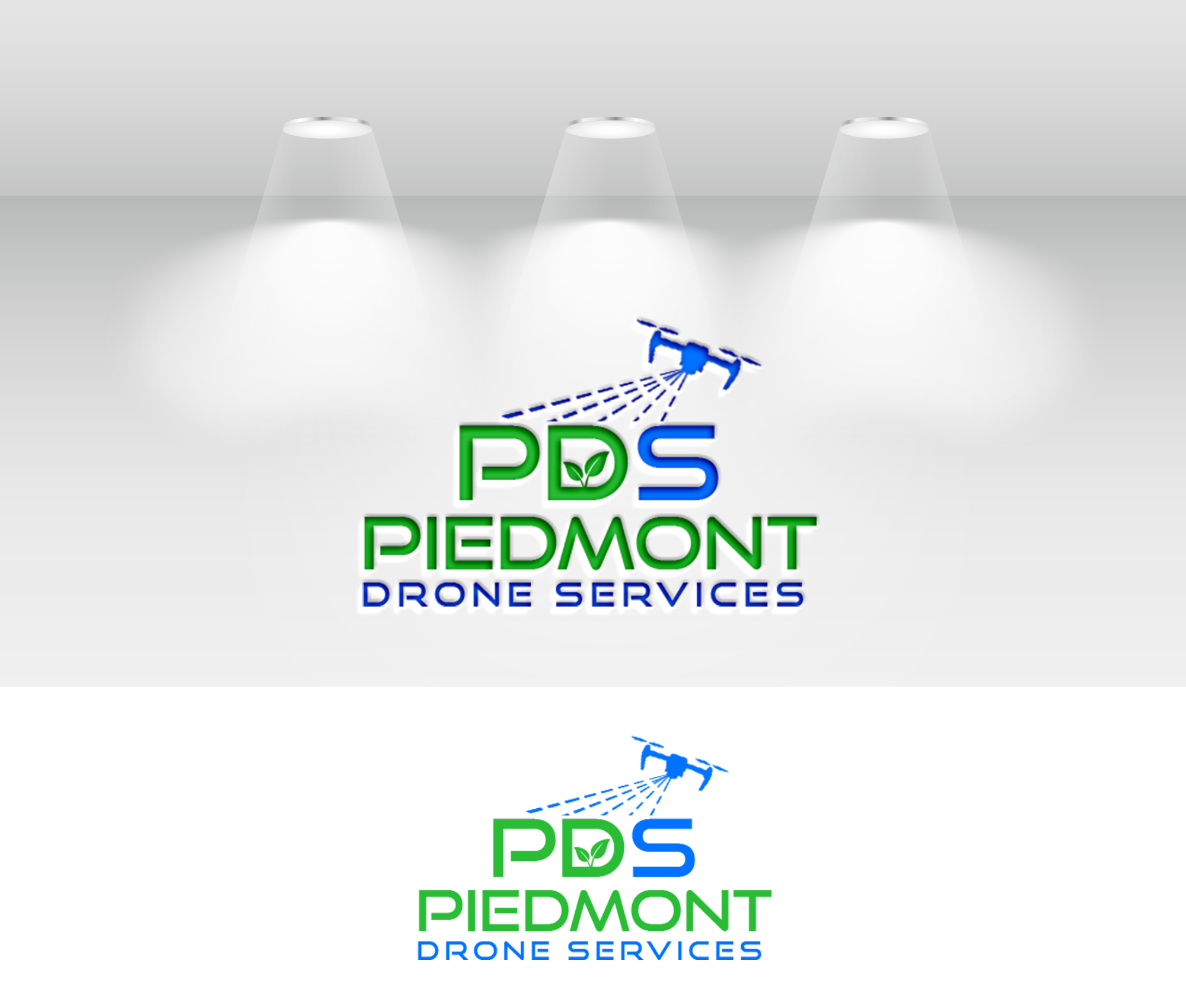 Modern, Masculine, Drone Logo Design for Piedmont Drone Services by ...