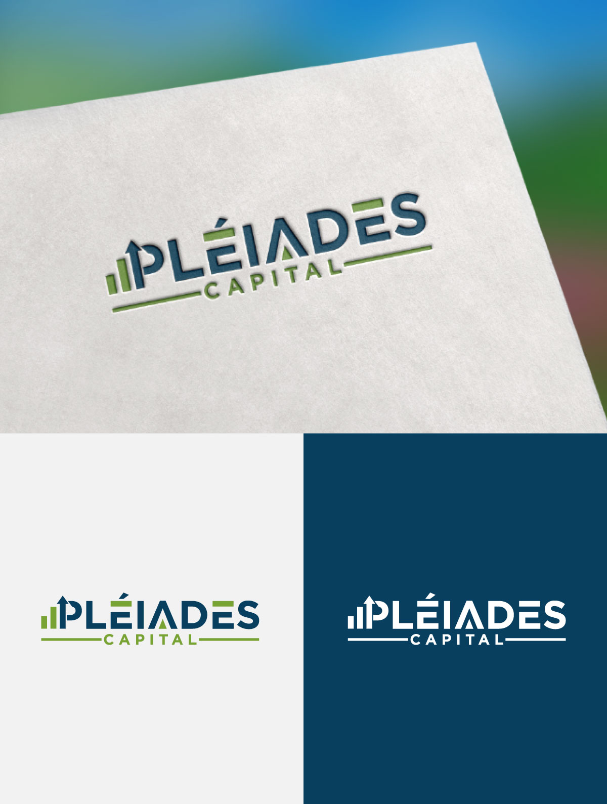 Logo Design for Pléiades Capital by Pixel power | Design #32575763