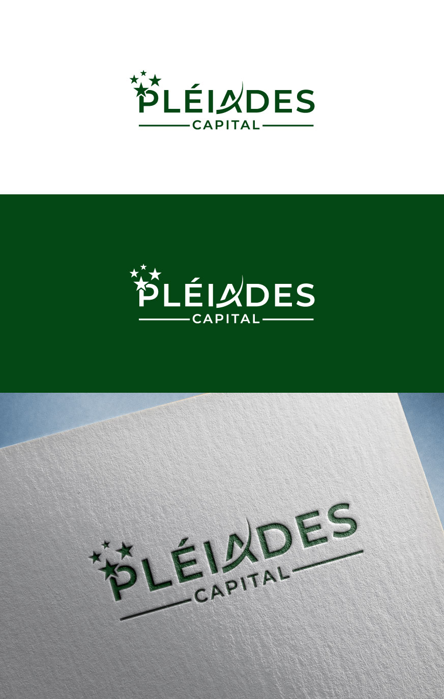 Logo Design for Pléiades Capital by flora.c design | Design #32602879