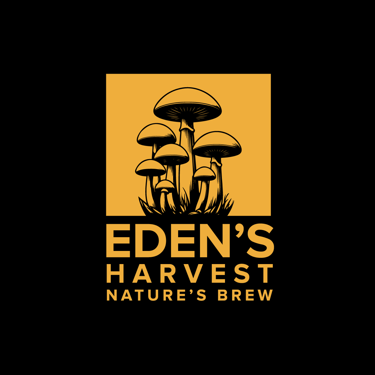 Modern, Colorful, Alcohol Logo Design for Eden's Harvest, Nature's Brew ...