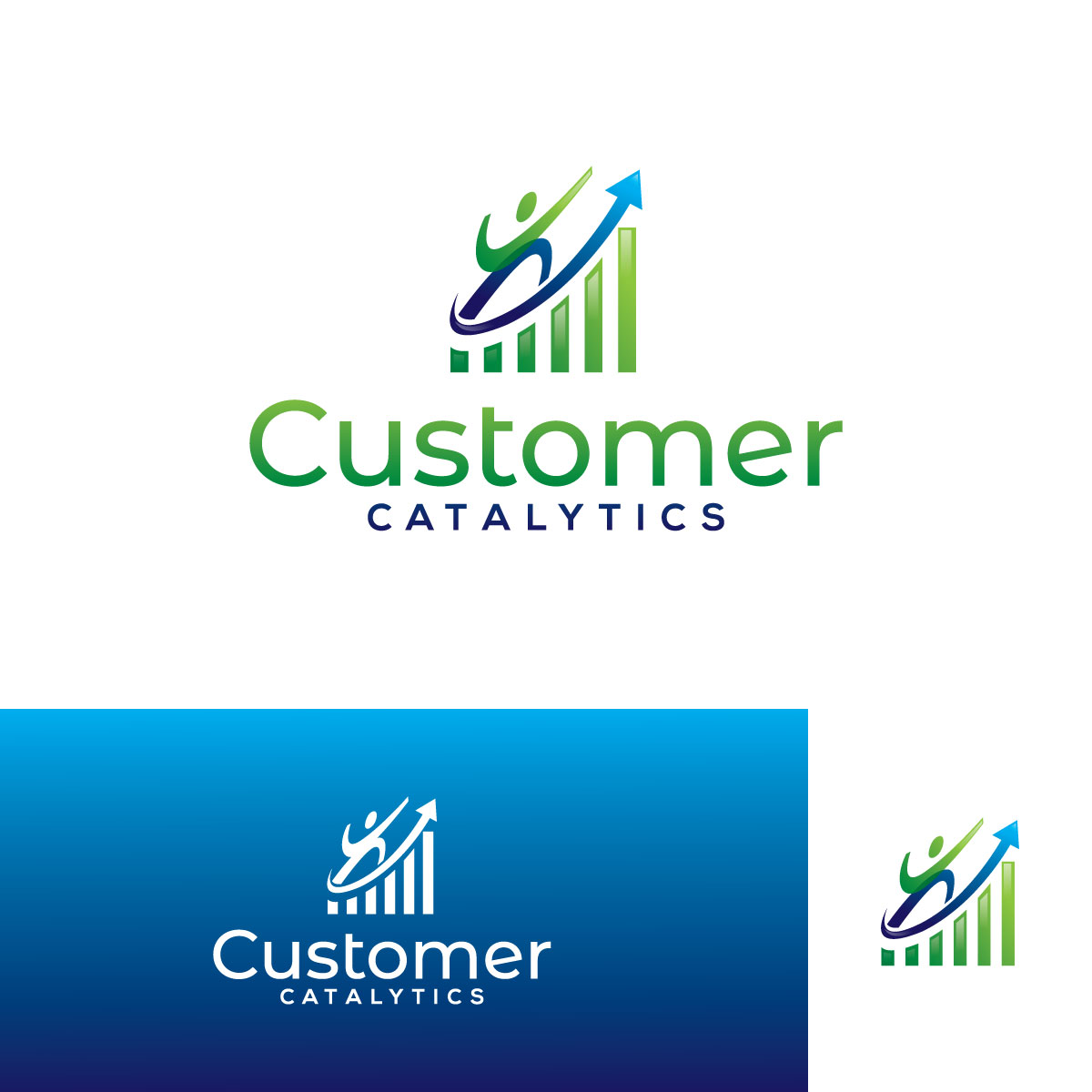 Conservative, Elegant, Consulting Logo Design for Customer Catalytics (or no words) by ...