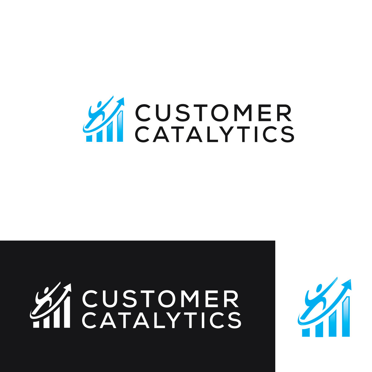 Conservative, Elegant, Consulting Logo Design for Customer Catalytics (or no words) by ...