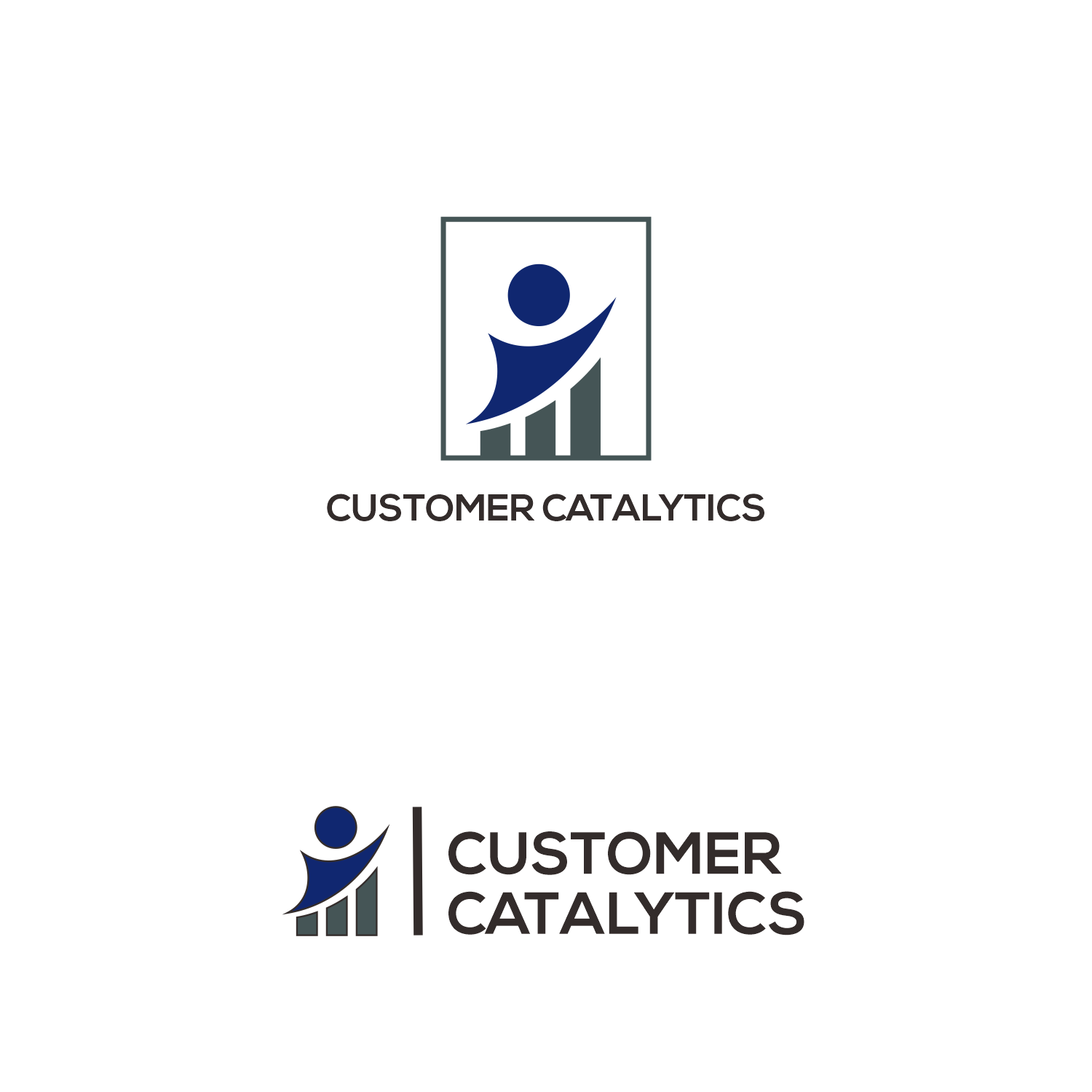 Conservative, Elegant, Consulting Logo Design for Customer Catalytics (or no words) by Aleea ...