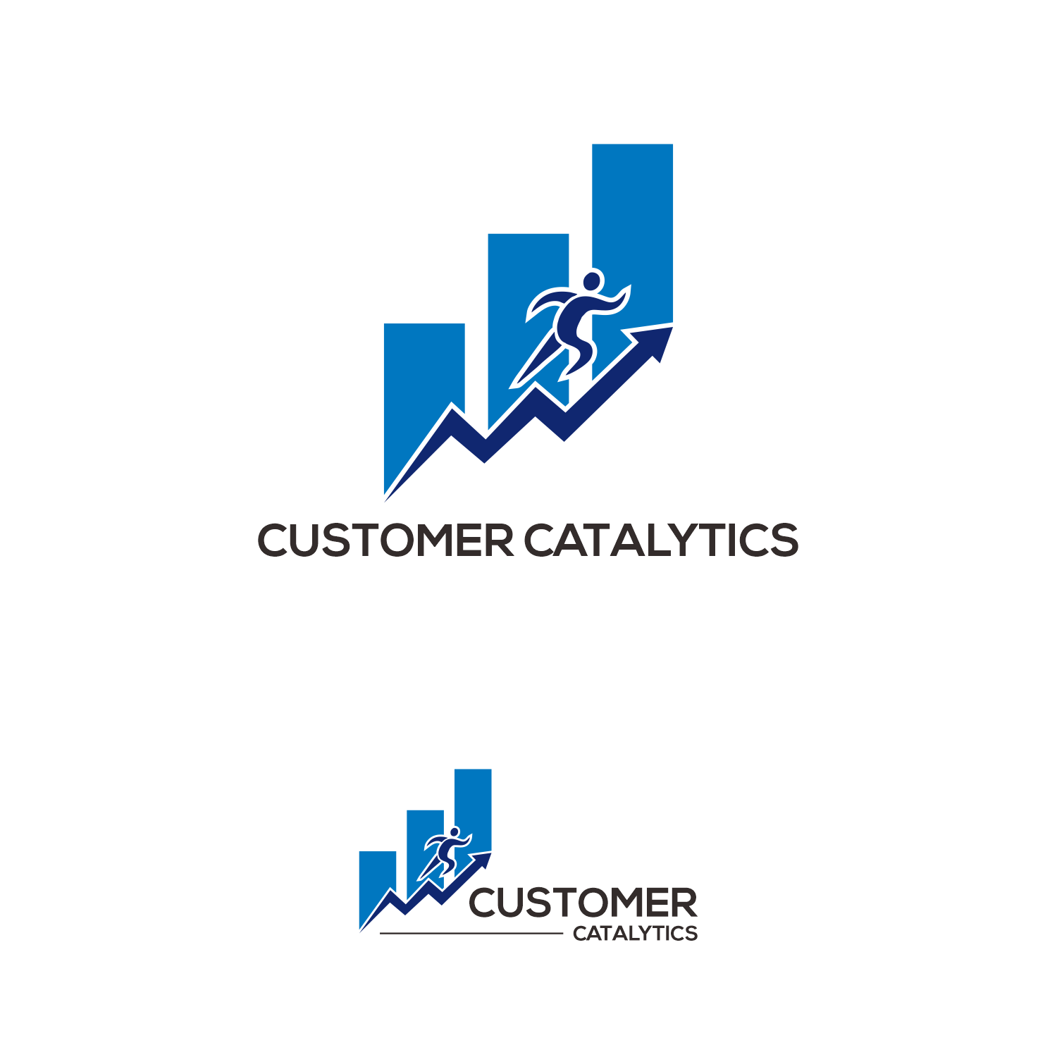 Conservative, Elegant, Consulting Logo Design for Customer Catalytics (or no words) by Aleea ...