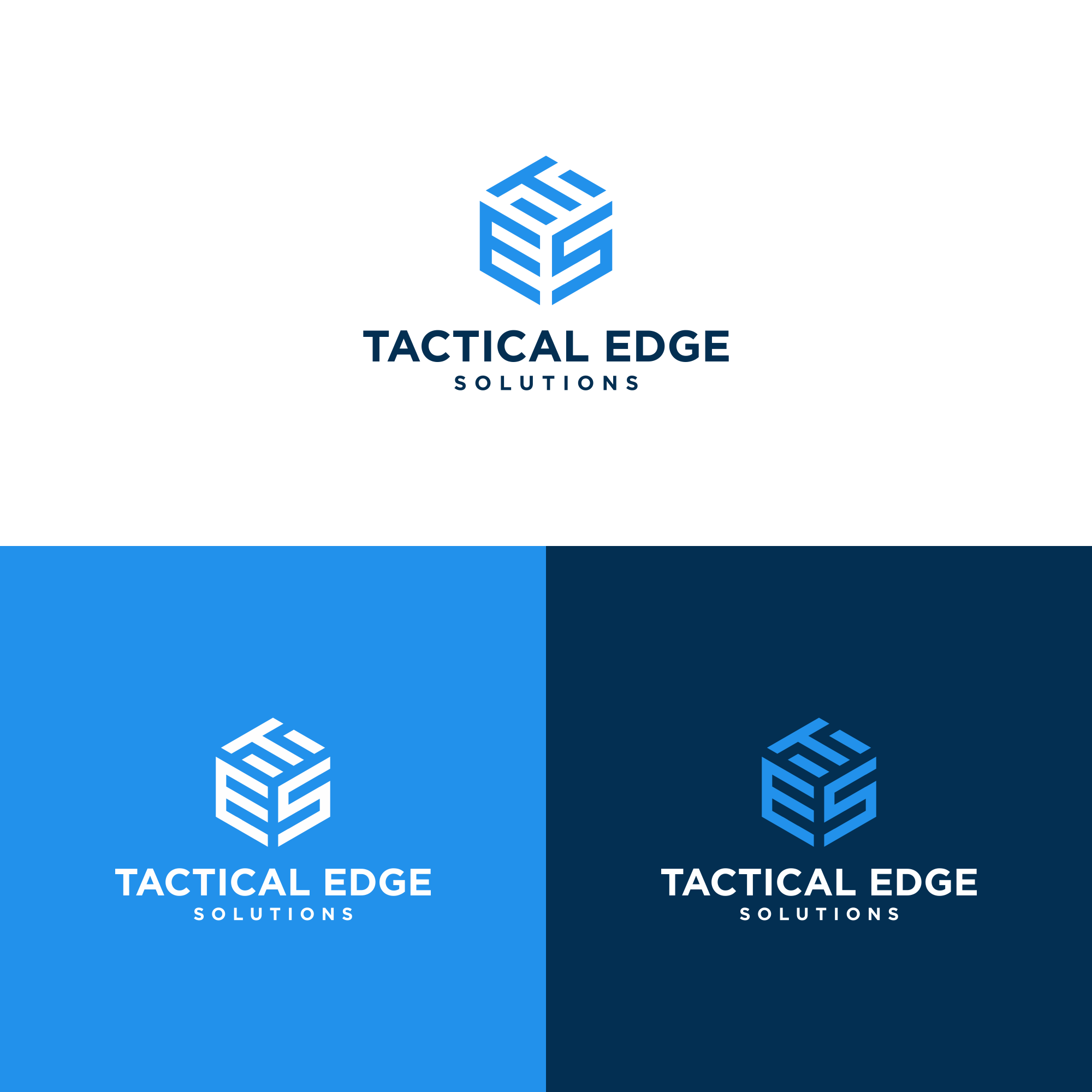 Logo Design for Tactical Edge Solutions by marselino ™ | Design #32658345