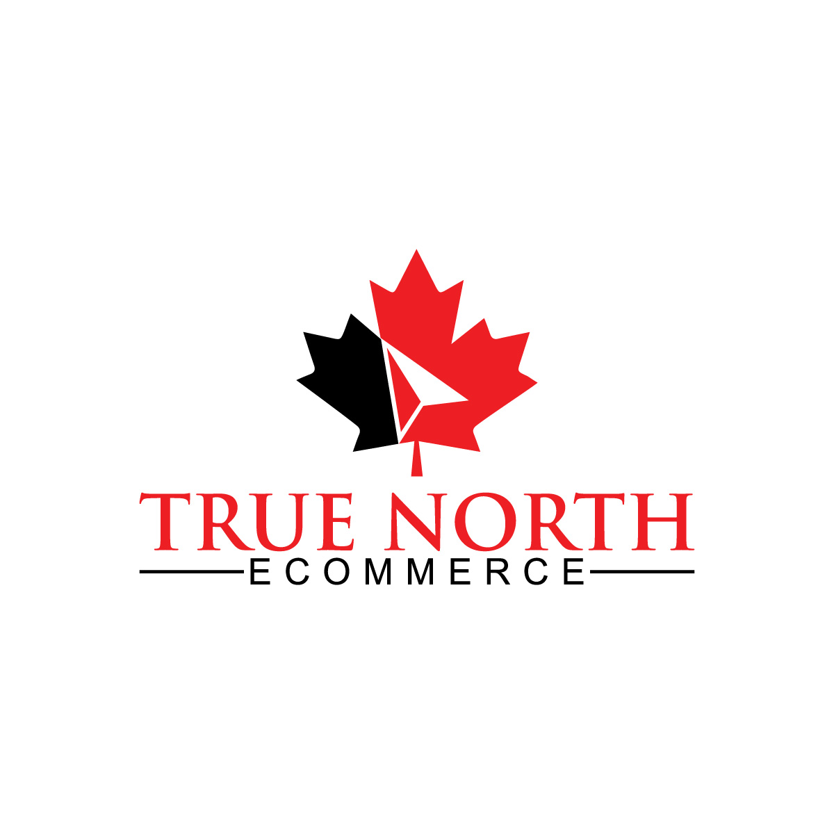 Logo Design for True North Ecommerce by justinlanz | Design #32688650