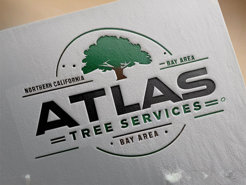 Professional, Modern, Tree Services and Land Clearing Logo Design for ...
