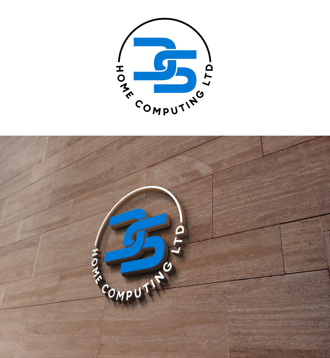 Logo Design for DS Home Computing Ltd by wdesigner2 | Design #32766294