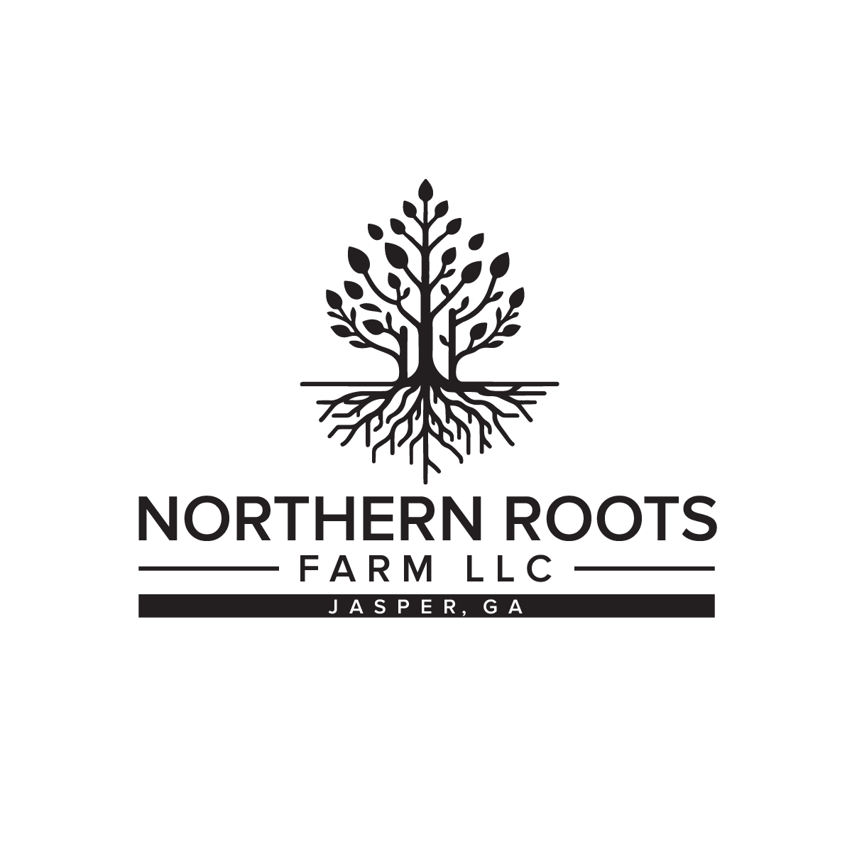 Playful, Modern, Agricultural Logo Design for Northern Roots Farm LLC ...