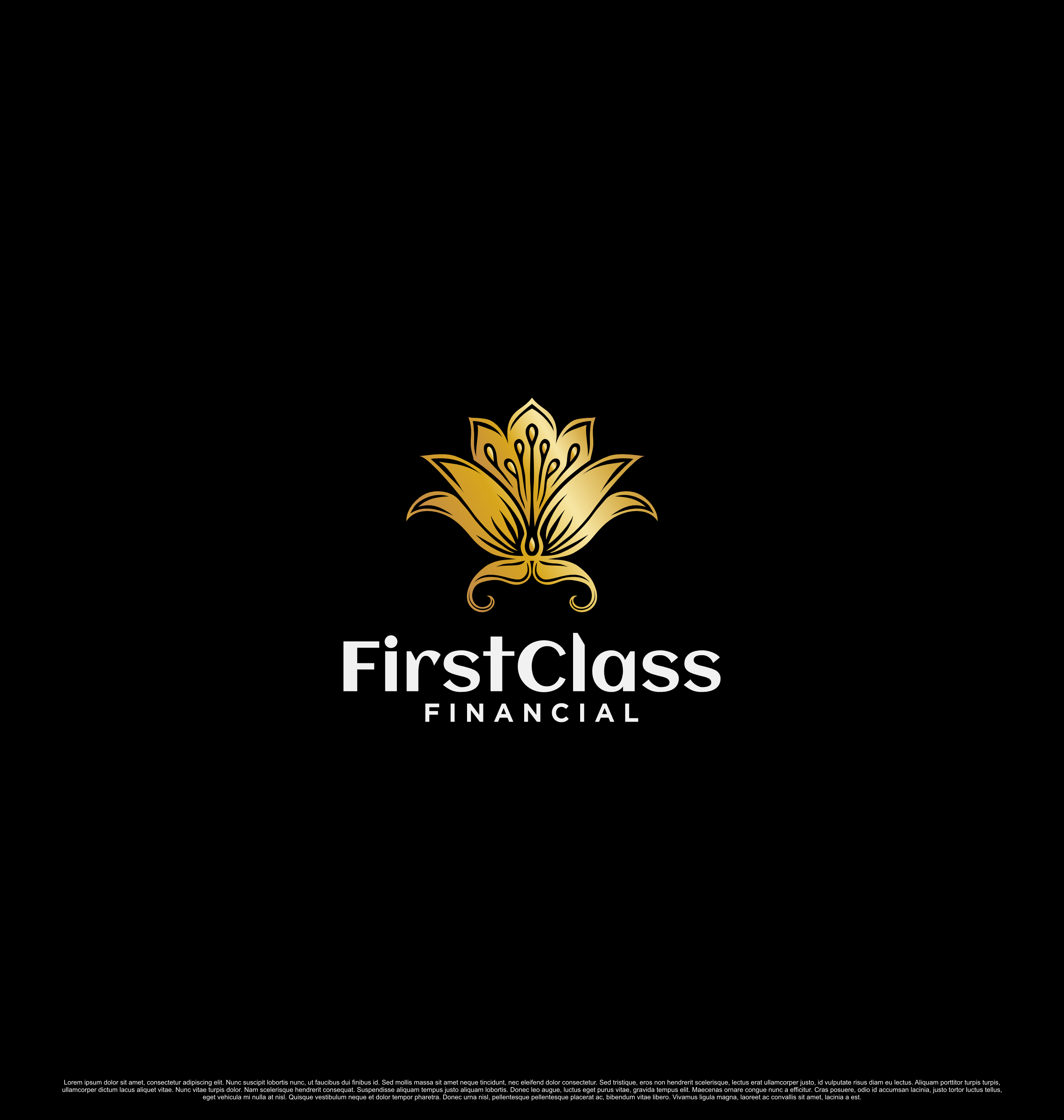 Elegant, Playful Logo Design for FirstClass Financial by saesean ...