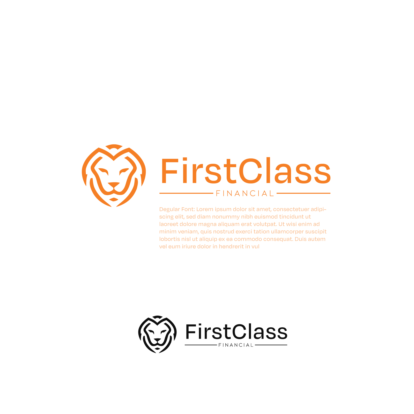 Elegant, Playful Logo Design for FirstClass Financial by Christian Cruz ...