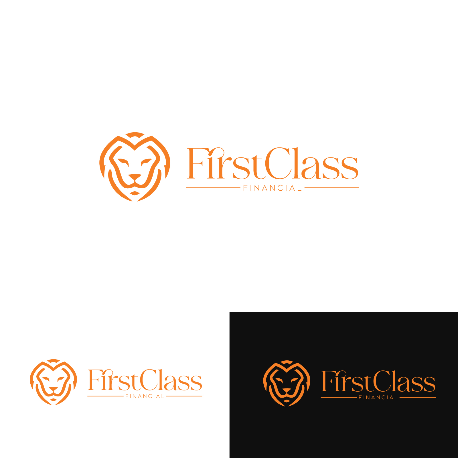 Elegant, Playful Logo Design for FirstClass Financial by Christian Cruz ...