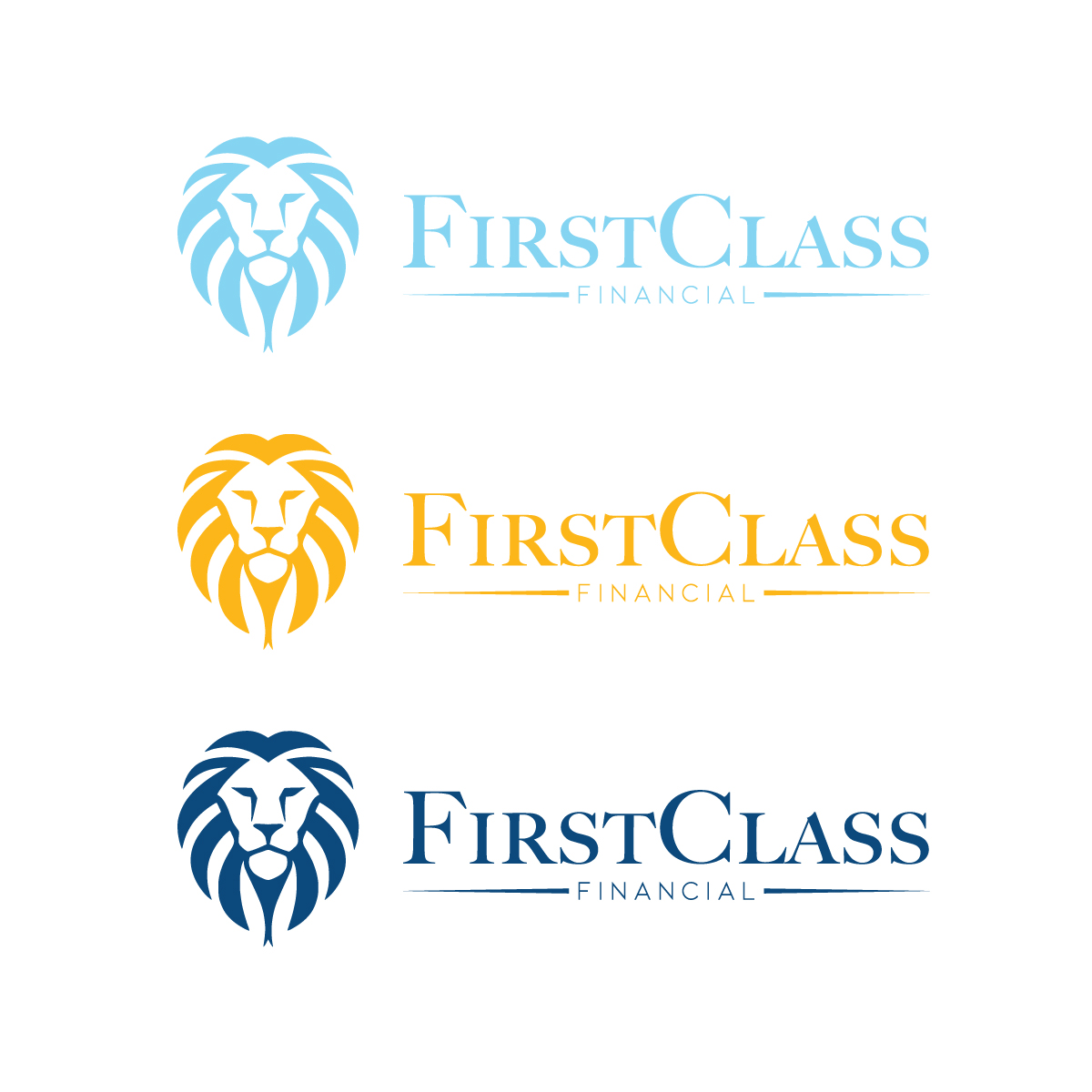 Elegant, Playful Logo Design for FirstClass Financial by Christian Cruz ...