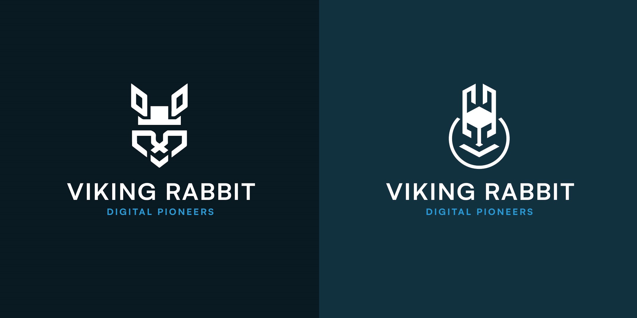 Modern, Elegant, Software and Technology Logo Design for Viking Rabbit by VizForte Creative ...
