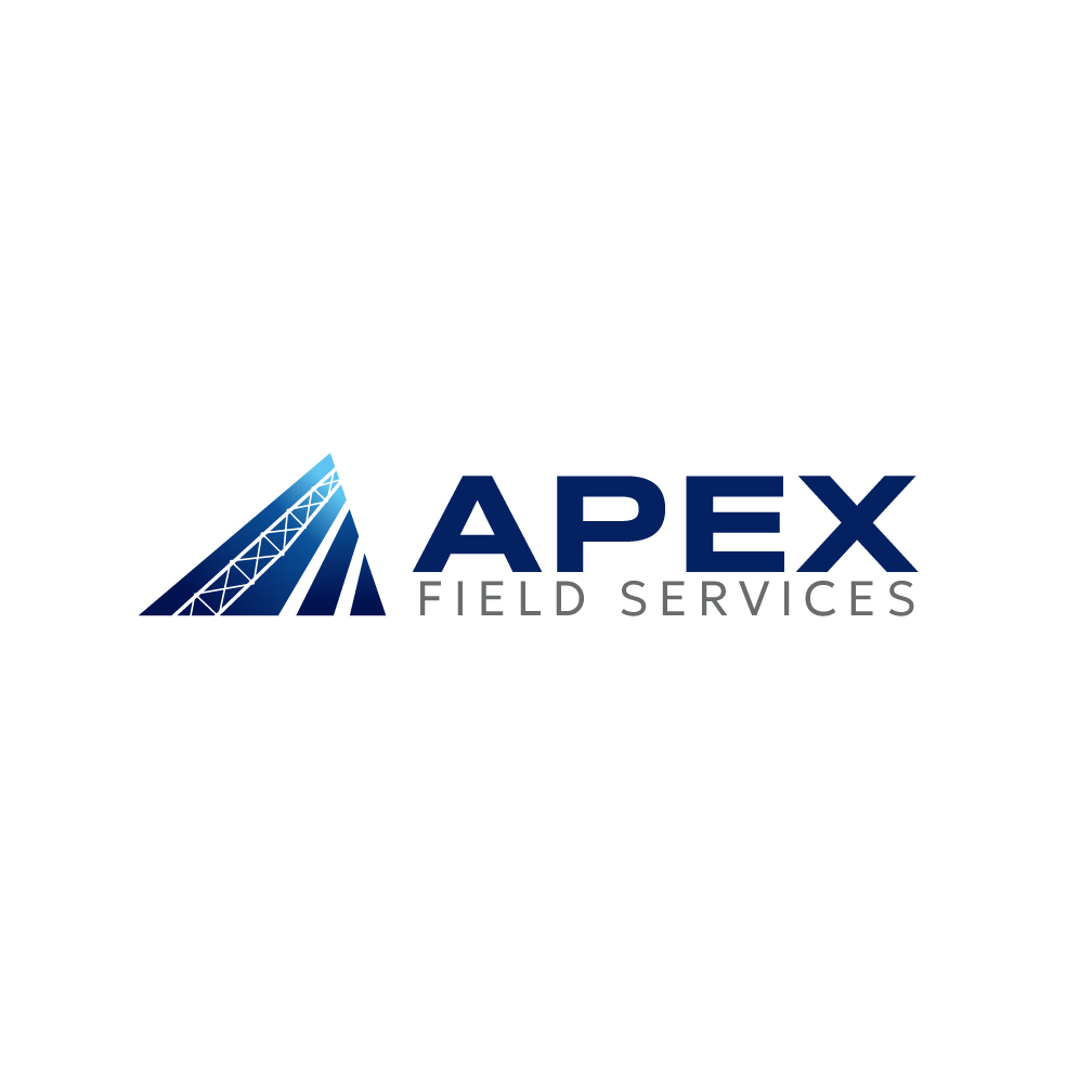 Elegant, Playful Logo Design for APEX FIELD SERVICES by Franabanana ...