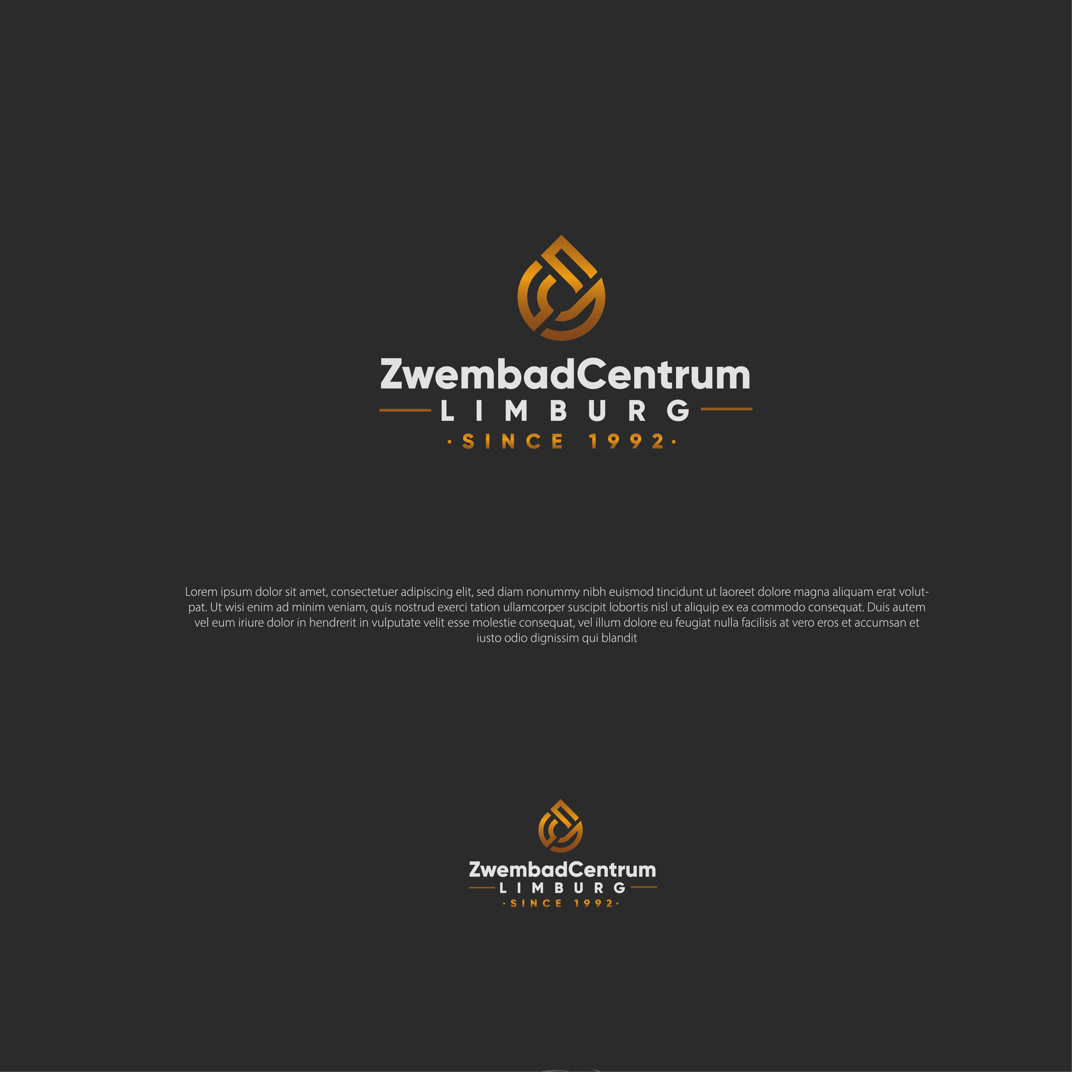 Modern, Professional, Pool Construction company Logo Design for ...
