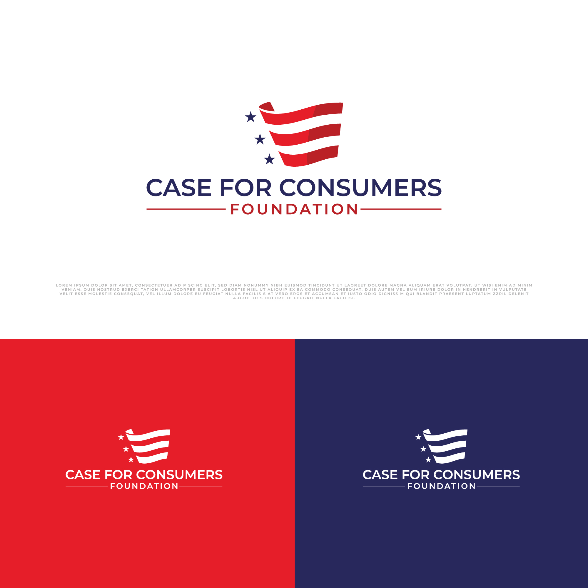 Elegant, Serious, non-profit, education, public affairs, public policy ...