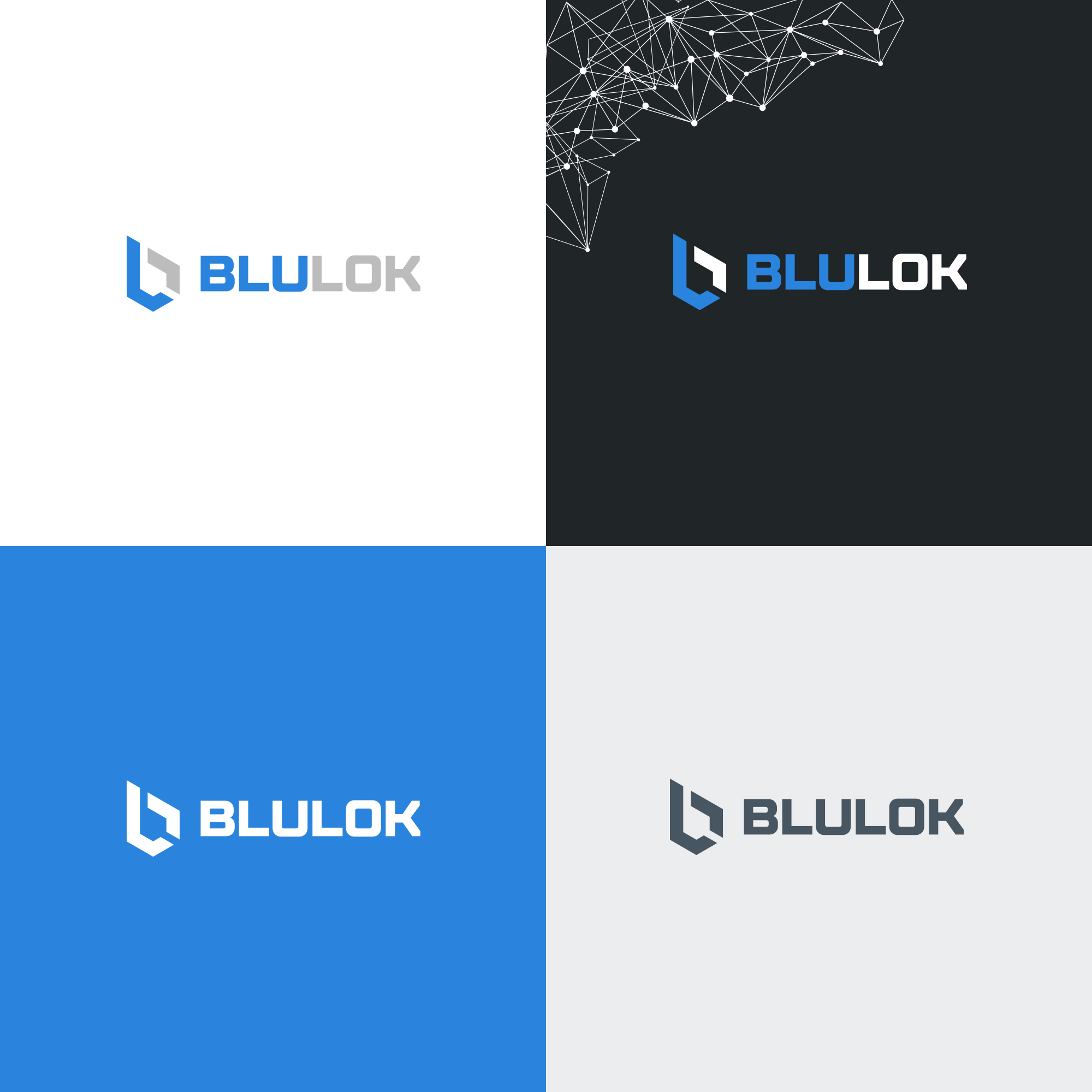 Bold, Serious Logo Design for BluLok by ERGO | Design #33170778